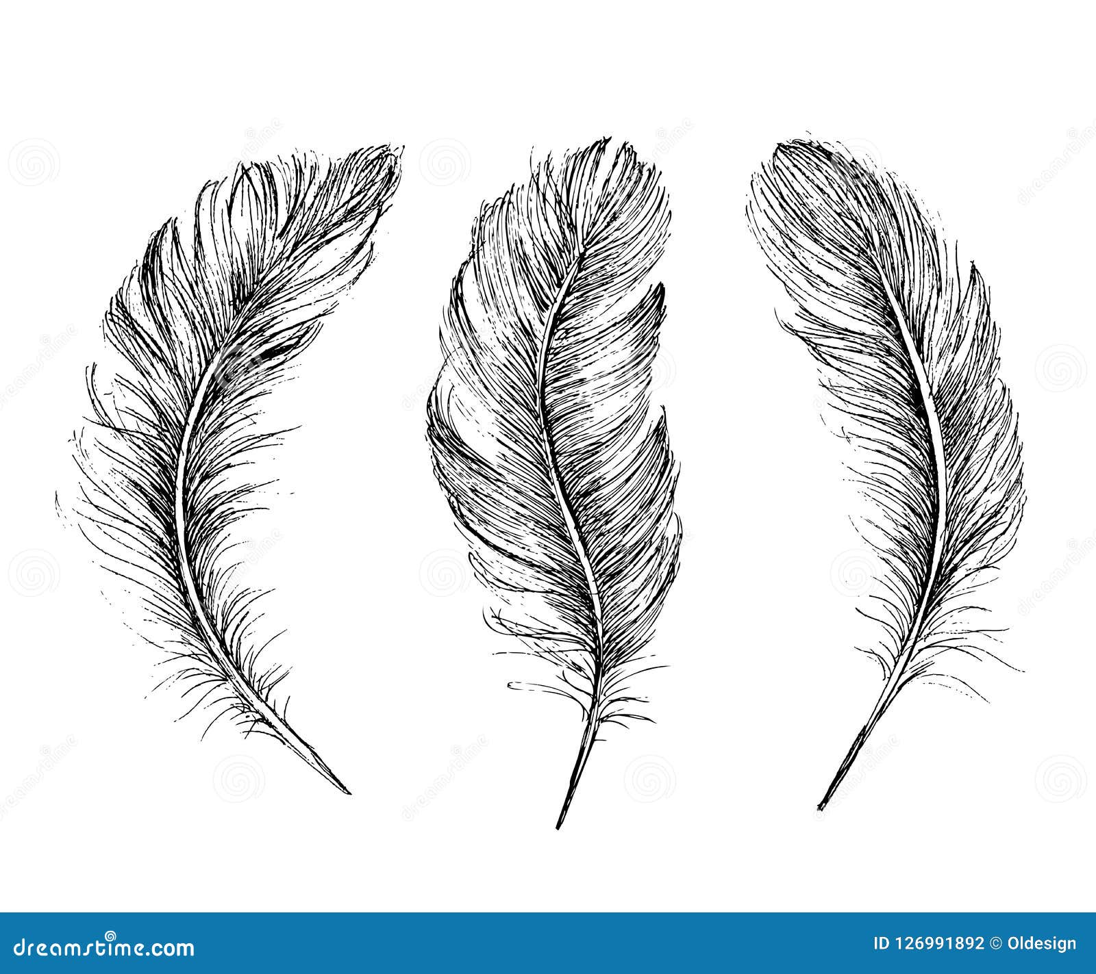 Feather Pattern Hand Drawn Style. Hand Drawn Vintage Design Set. Stock ...