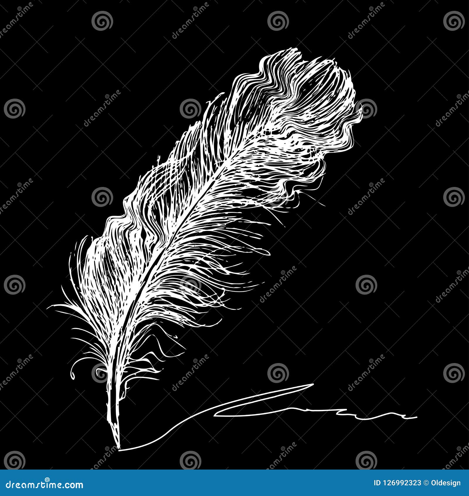 Feather Pattern Hand Drawn Style. Hand Drawn Vintage Vector Design Set ...