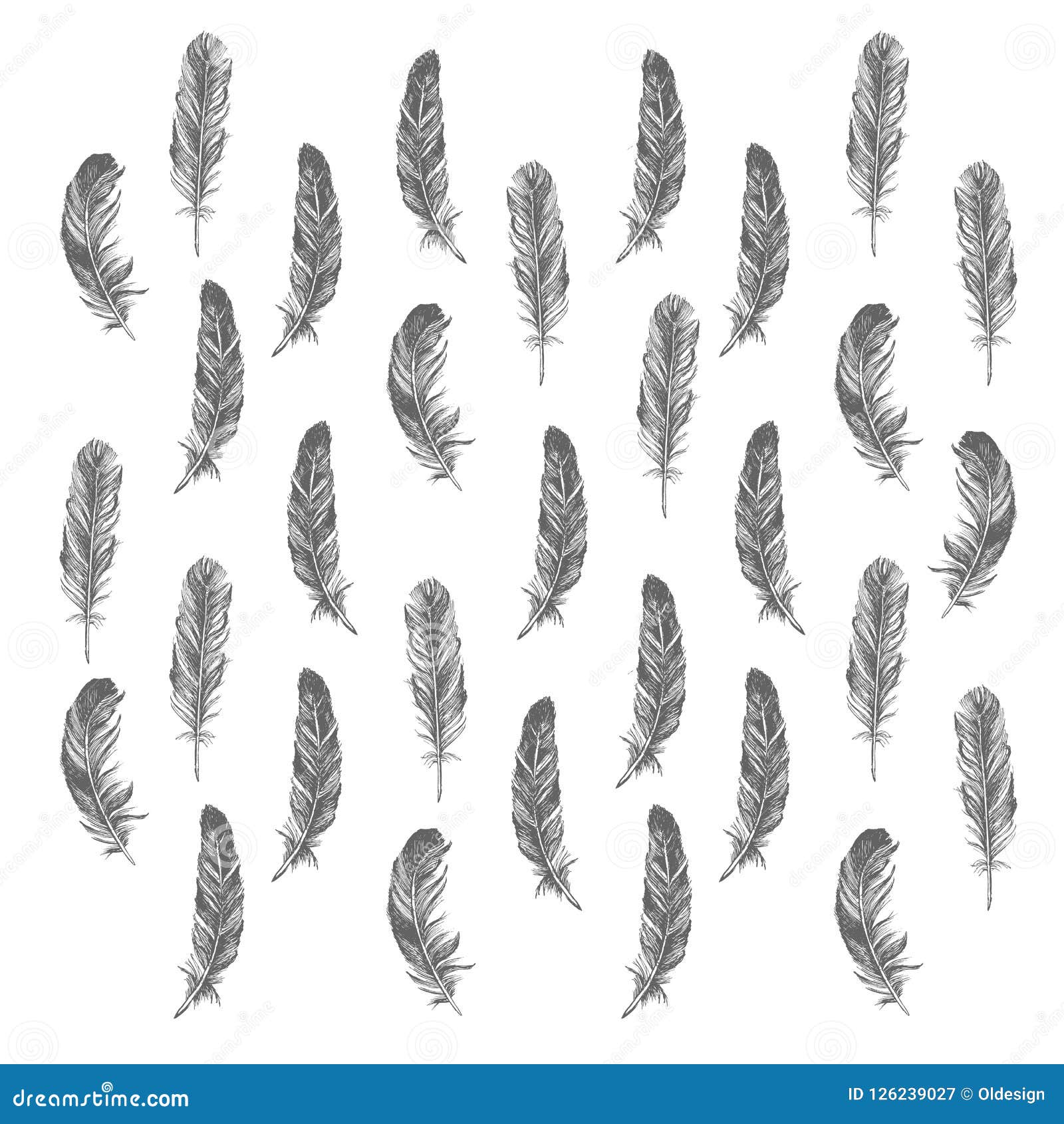 Feather Pattern Hand Drawn Style Stock Vector - Illustration of rustic ...