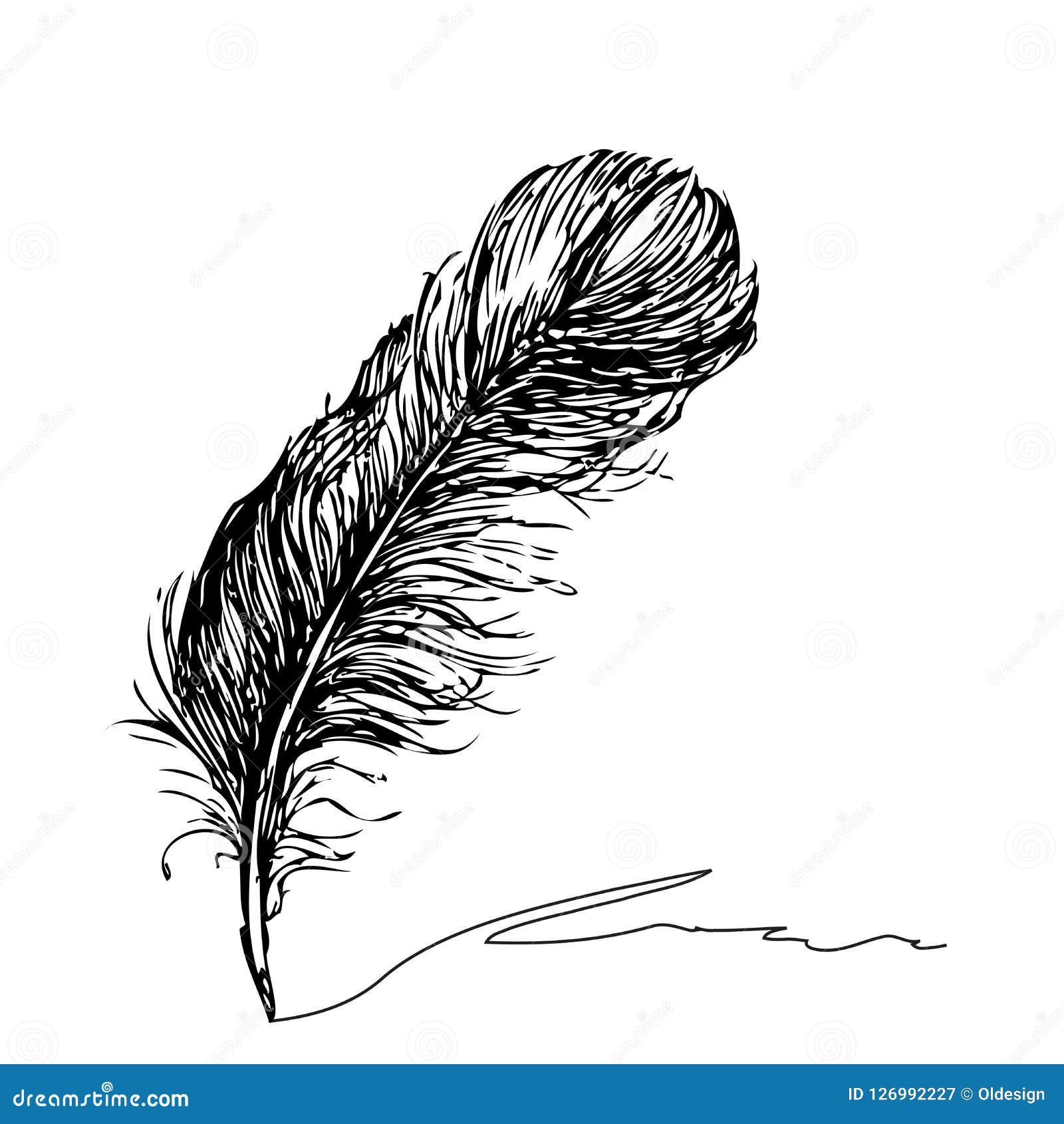 Feather Pattern Hand Drawn Style. Hand Drawn Vintage Vector Design Set ...