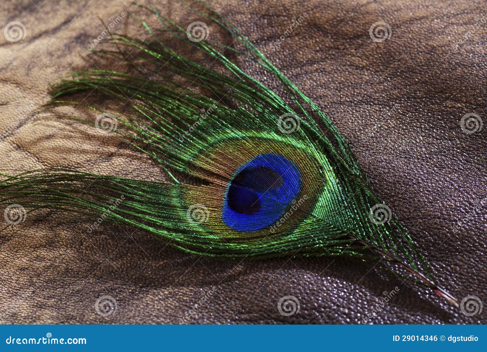 Pavonine stock photo. Image of psyhic, sequence, scrap - 29014346