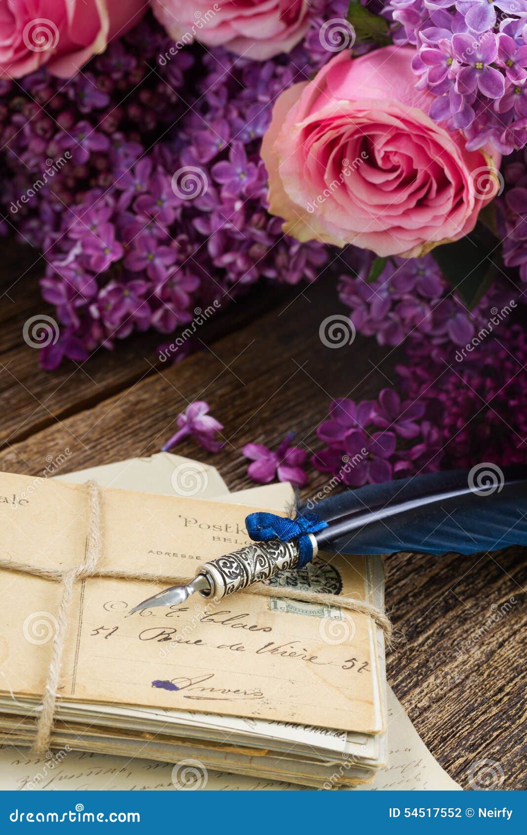 Feather pen stock photo. Image of feather, aged, antique - 54517552