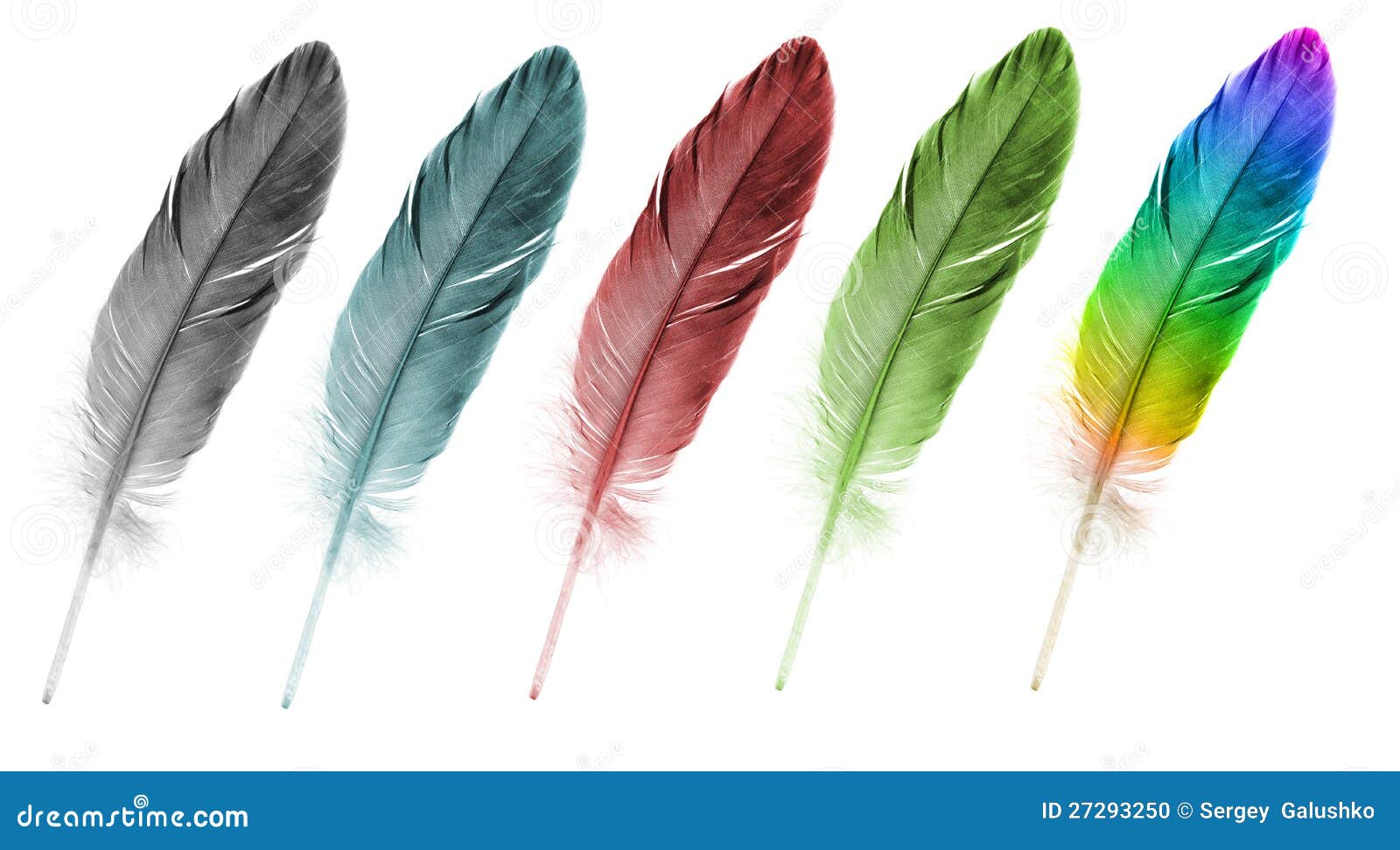 Feather Pen Set of Abstract Color Stock Photo - Image of feather, white ...