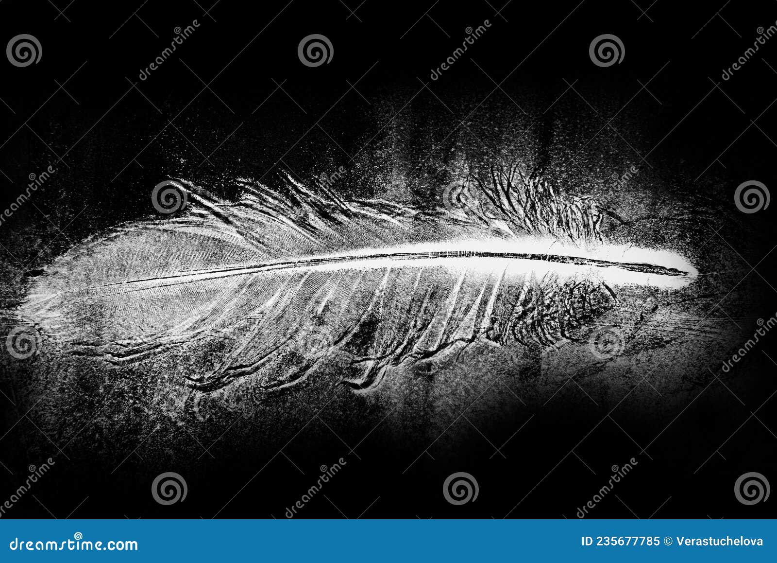 Feather Printed on Paper - Graphic Imprint Stock Image - Image of close ...