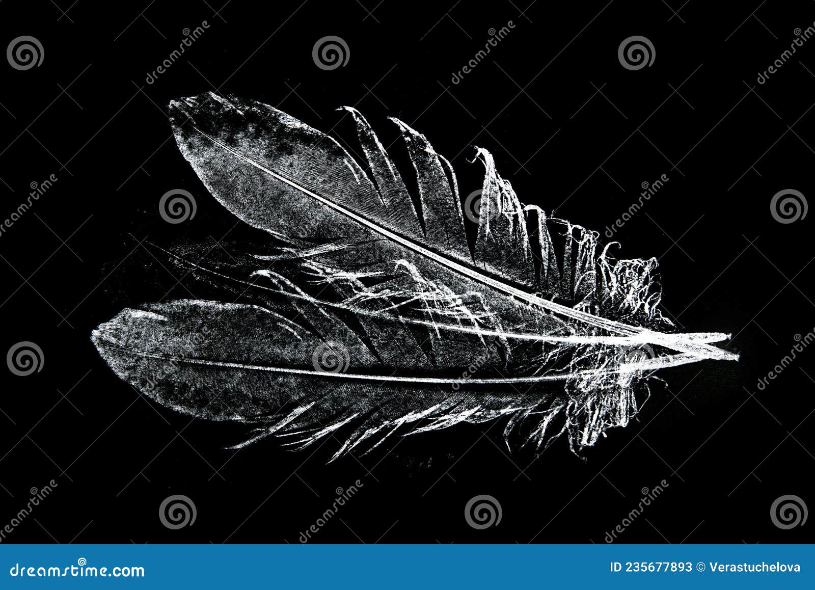 Feather Printed on Paper - Graphic Imprint Stock Image - Image of ...