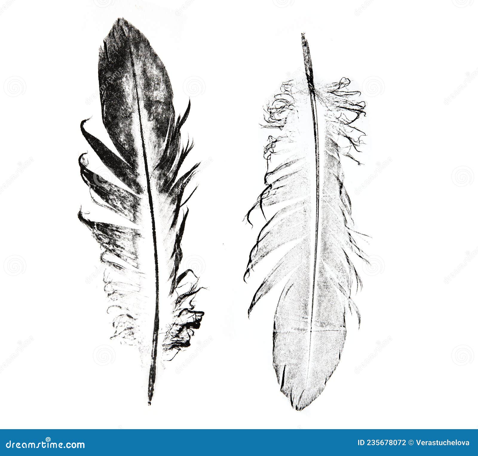 Feather Printed on Paper - Graphic Imprint Stock Photo - Image of ...