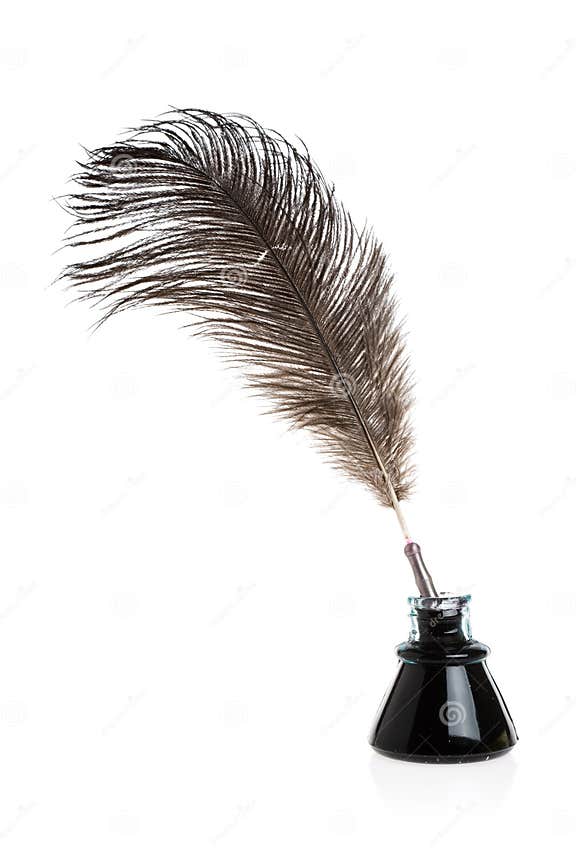 Feather Quill stock image. Image of glass, isolated, literature - 4396805