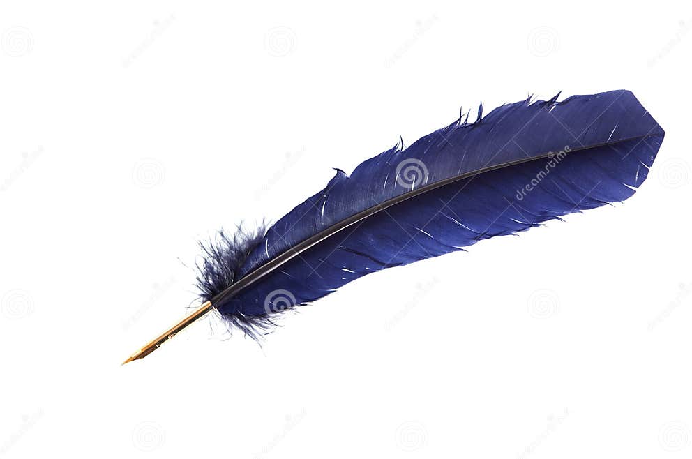 Feather quill stock image. Image of feather, object, blue - 4620805