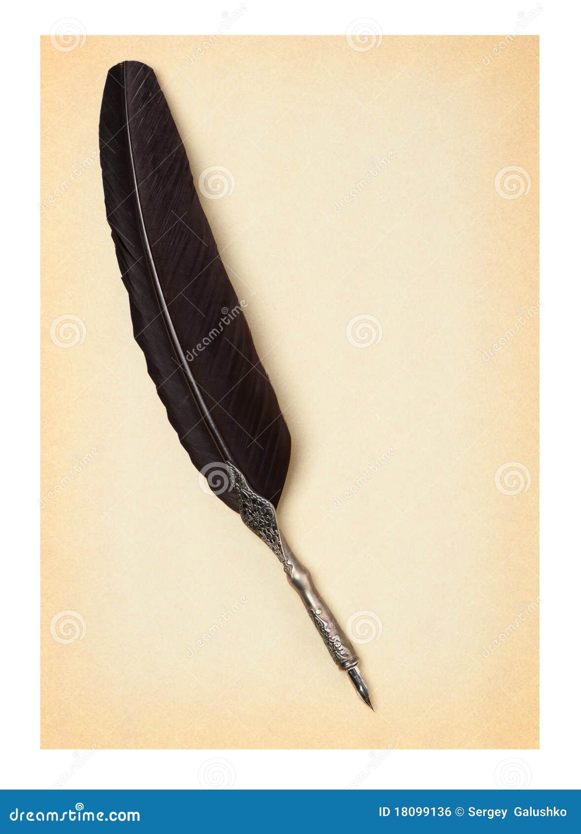 Old Quill Pen With Old Paper Scroll And Rat Skeleton On The Dark Wooden ...