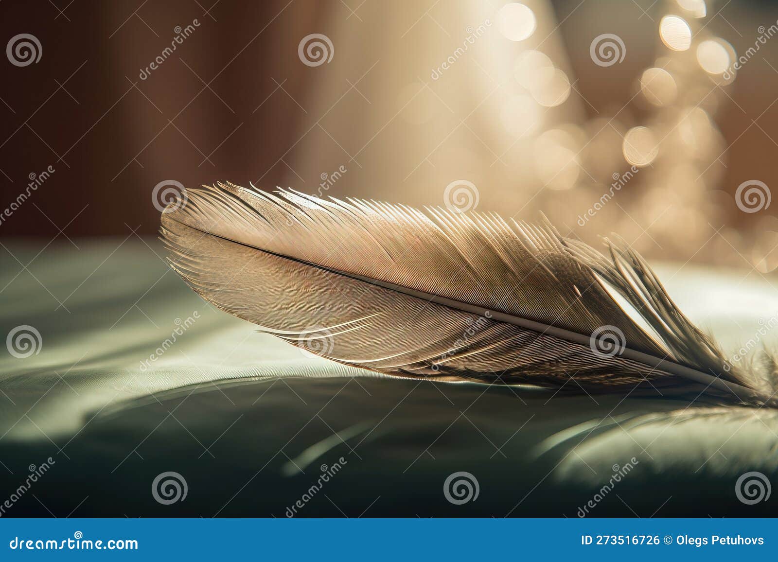 A Feather Quill Resting on a Bed with a Blurry Background Stock ...