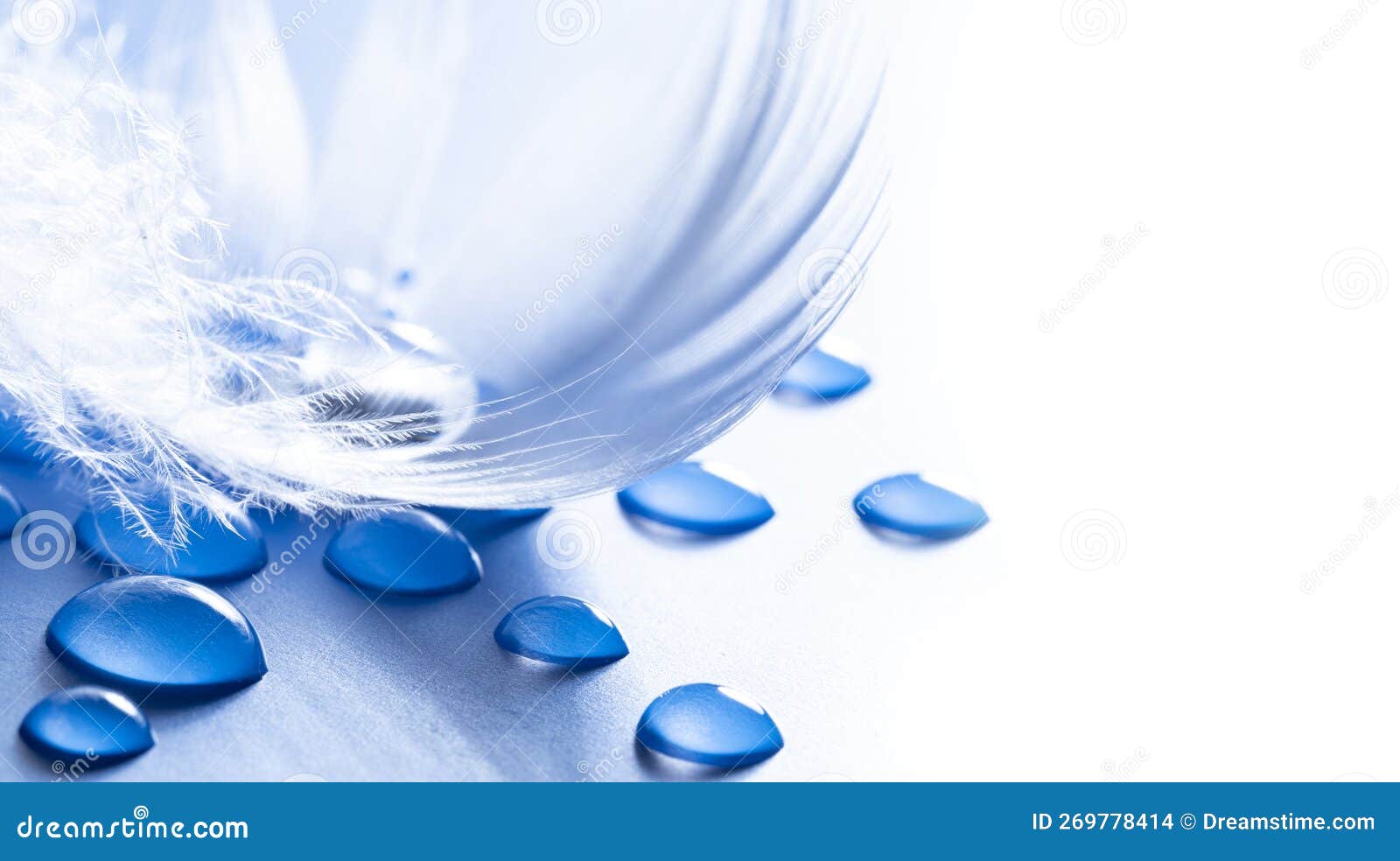 Feather with Rain Drops on a Blue Background Stock Photo - Image of ...