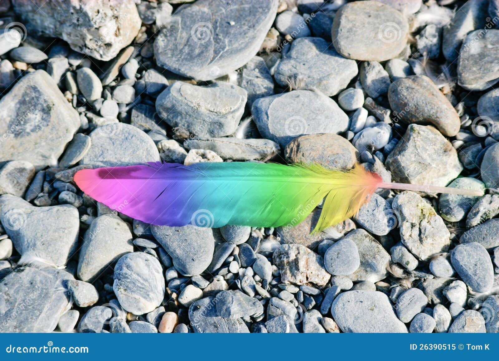 Feather in Rainbow Colors on Rocks Stock Image - Image of stone, detail ...