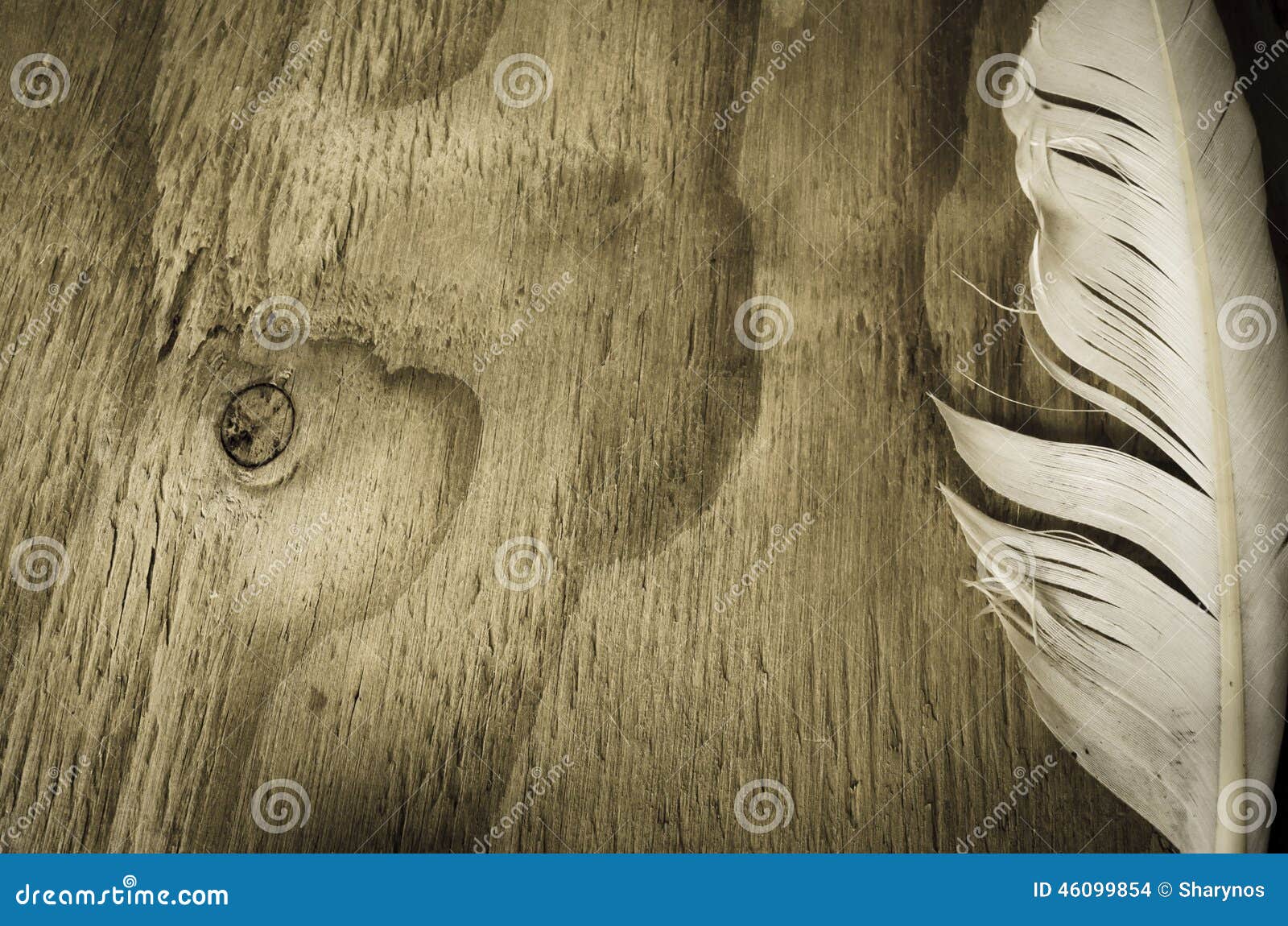 Feather on Rustic Wood stock photo. Image of artistic - 46099854