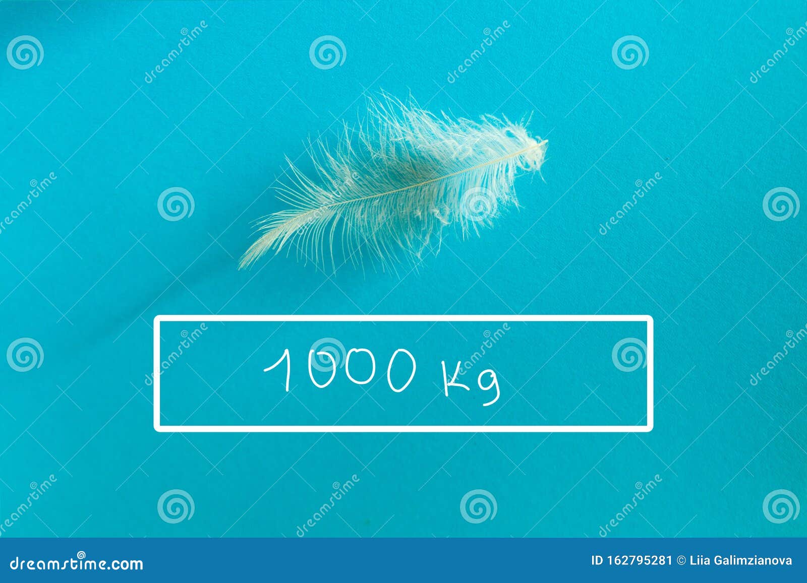 Feather Scales Stock Photos - Download 156 Royalty Free Photos
