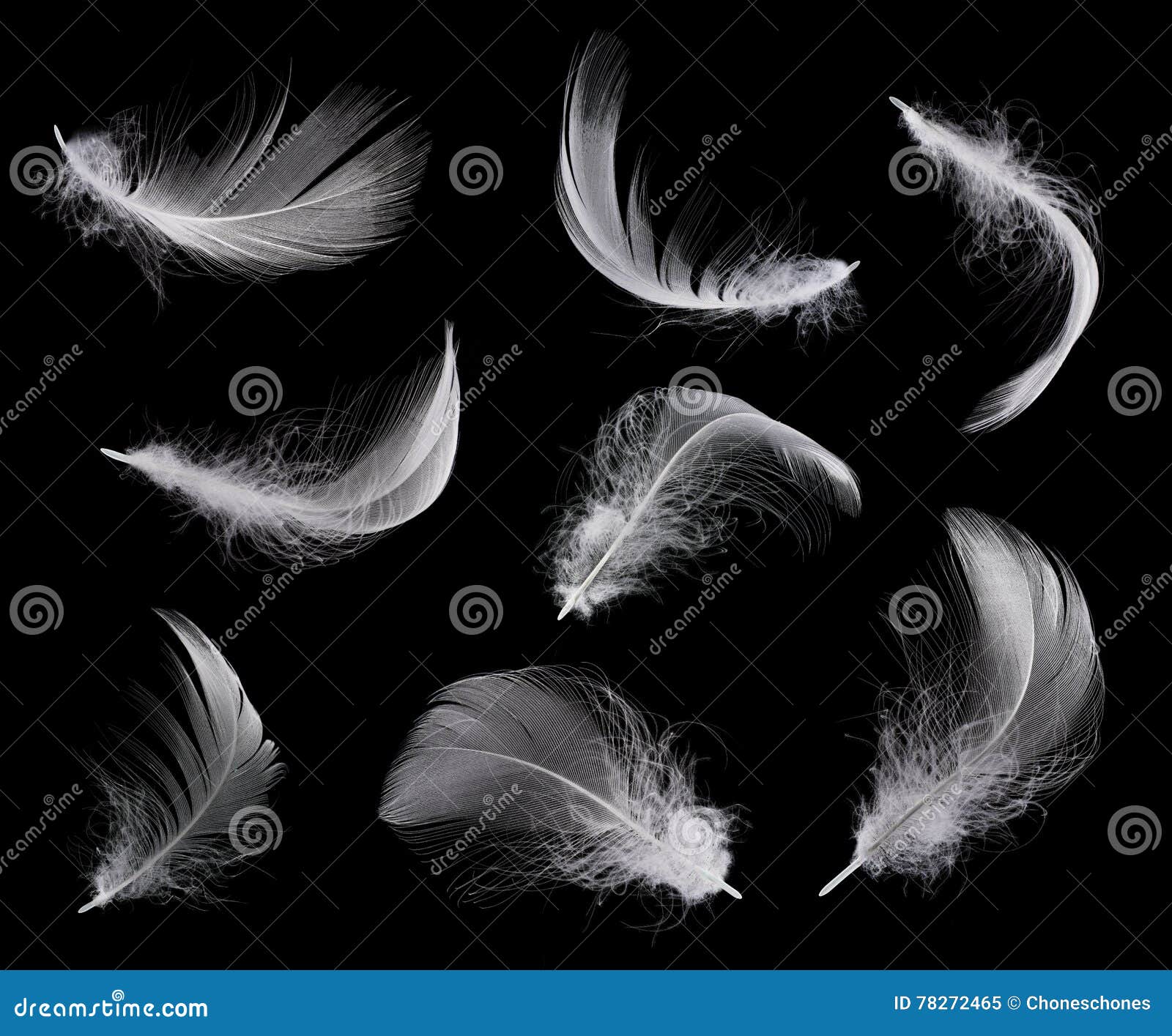 Feather set stock image. Image of accessory, objects - 78272465