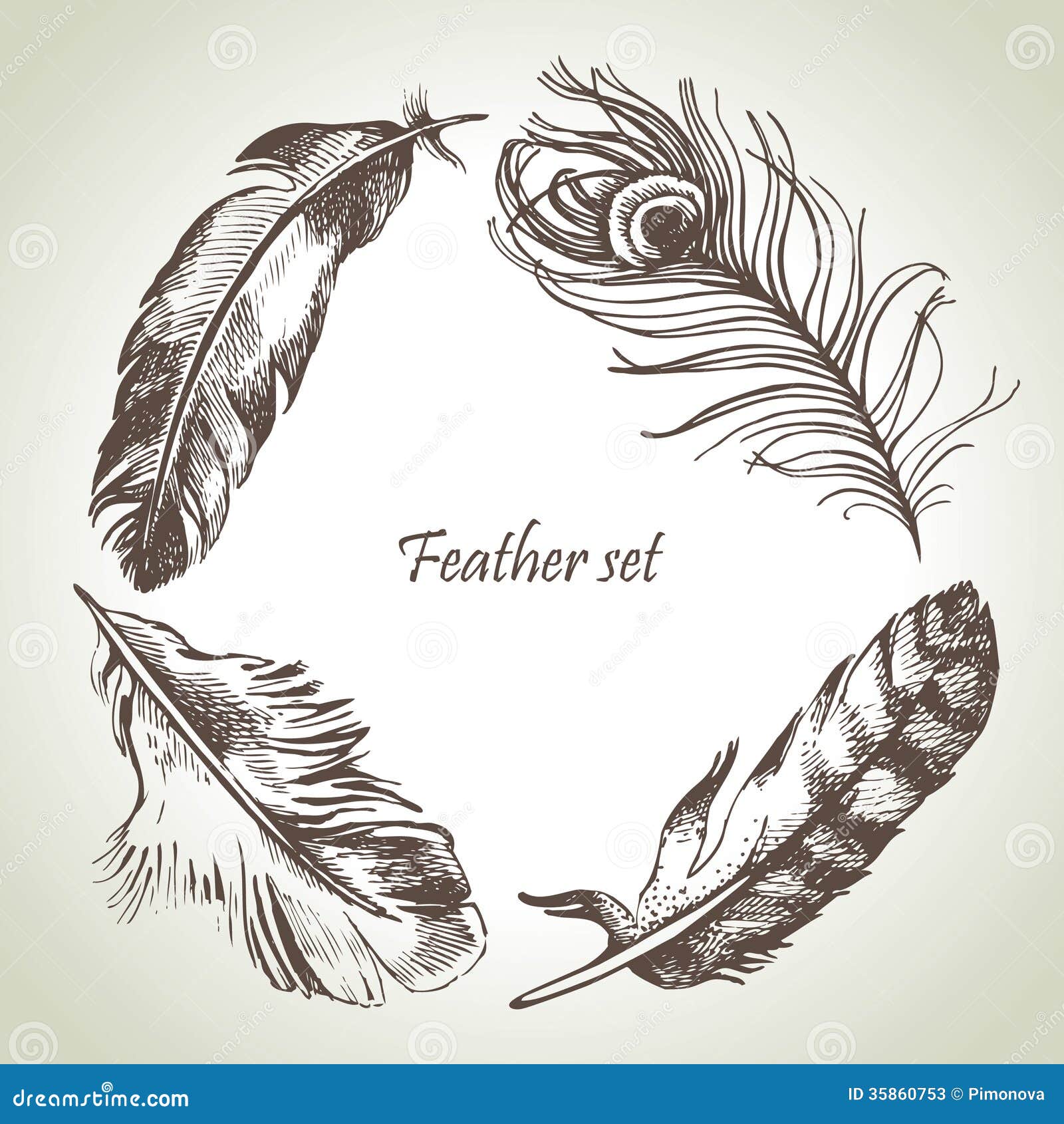 Feather set stock vector. Illustration of beauty, literature - 35860753