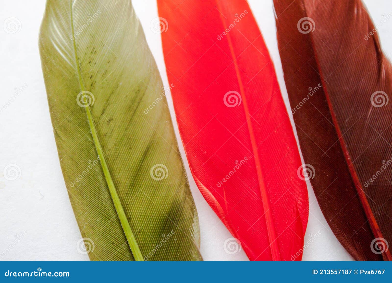 Feather Set Isolated on White Background. Natural and Ethnic Elements ...