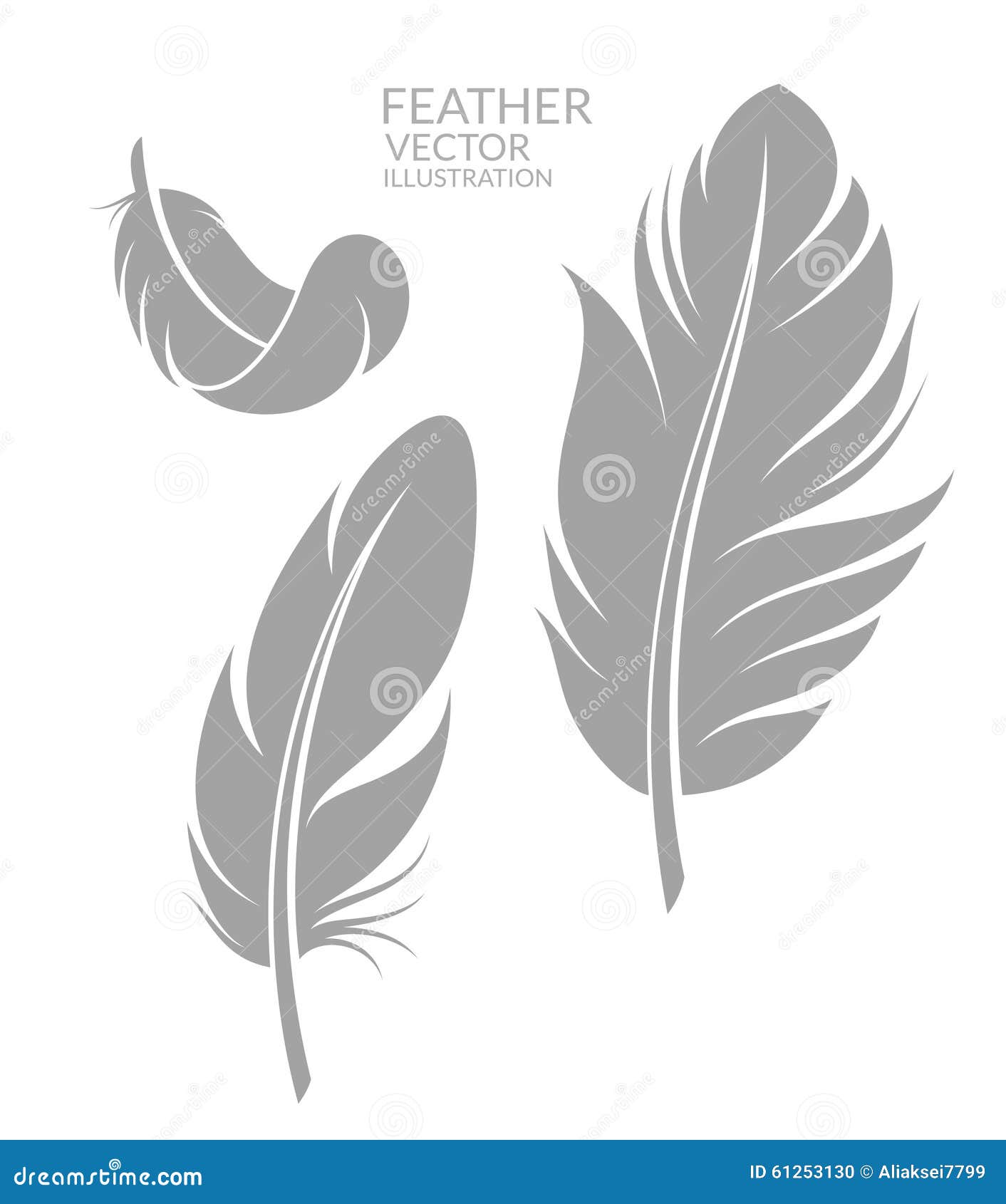 Feather. Set stock vector. Illustration of vector, abstract - 61253130