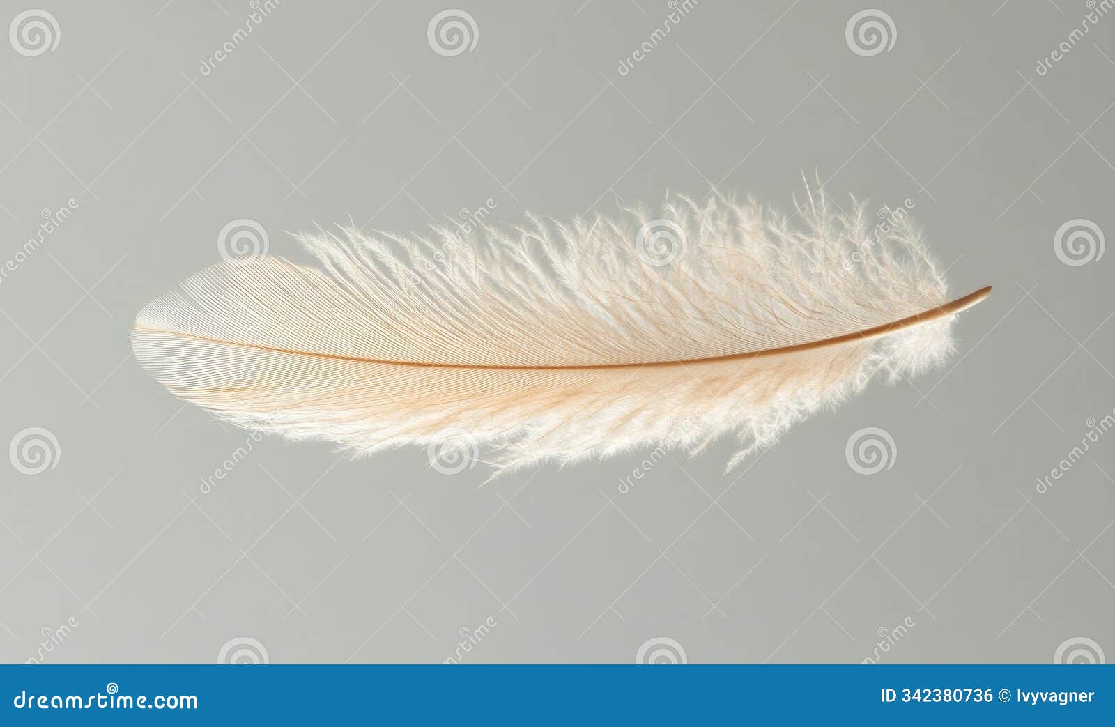 A Feather is Shown in a Close Up on a Grey Background Stock ...