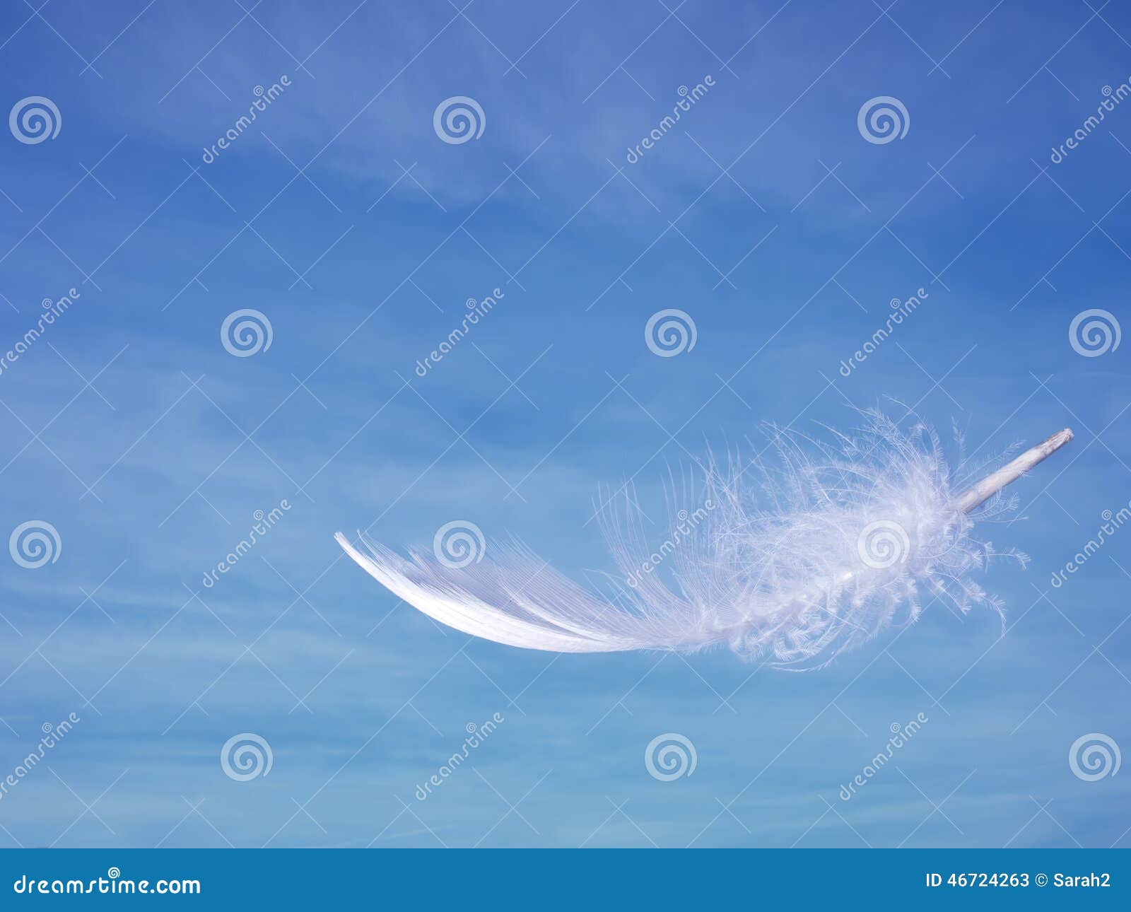 Feather and Sky - Lightness, Softness Concept. Stock Image - Image of ...