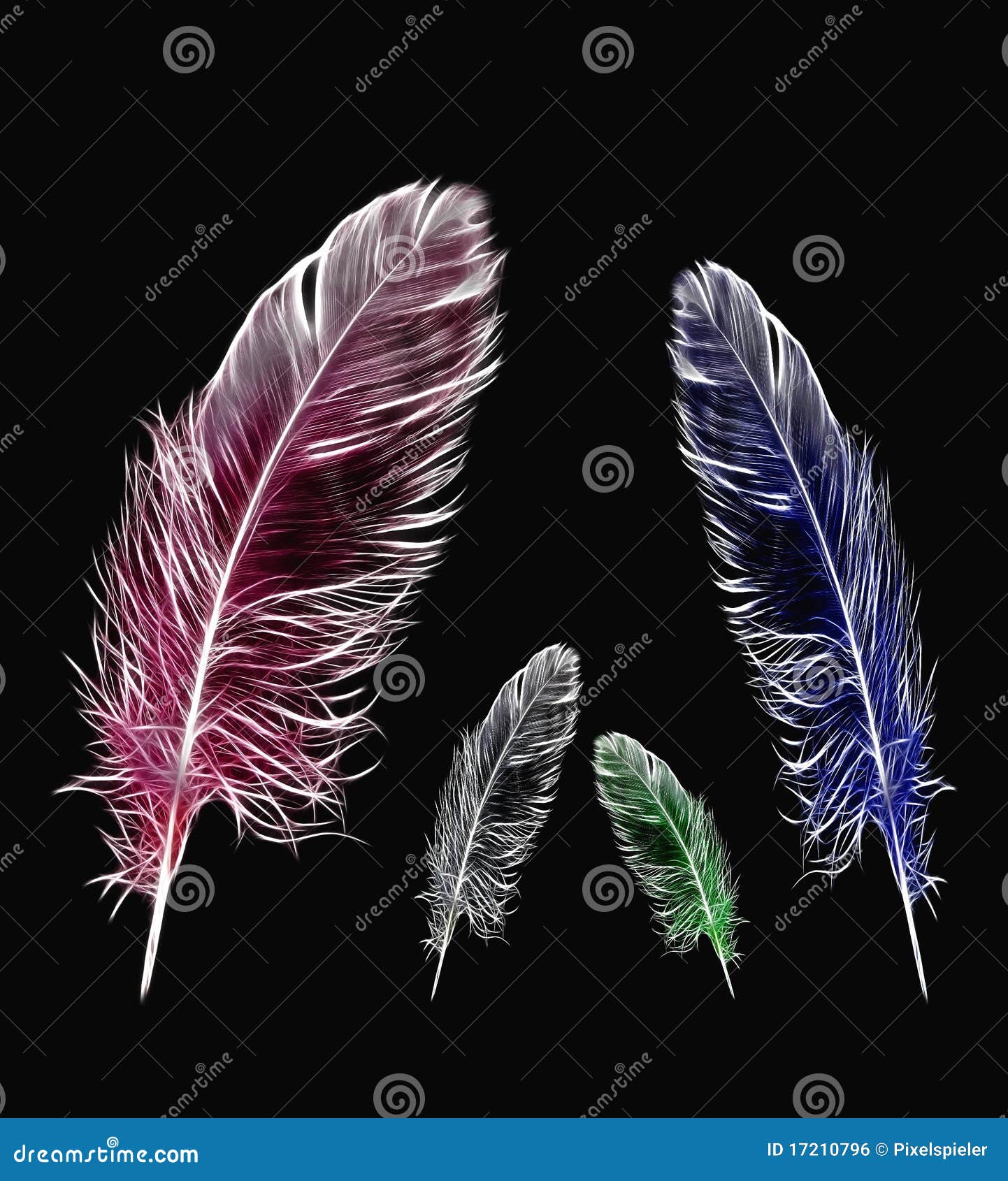 Feather/spring stock photo. Image of nostalgia, black - 17210796