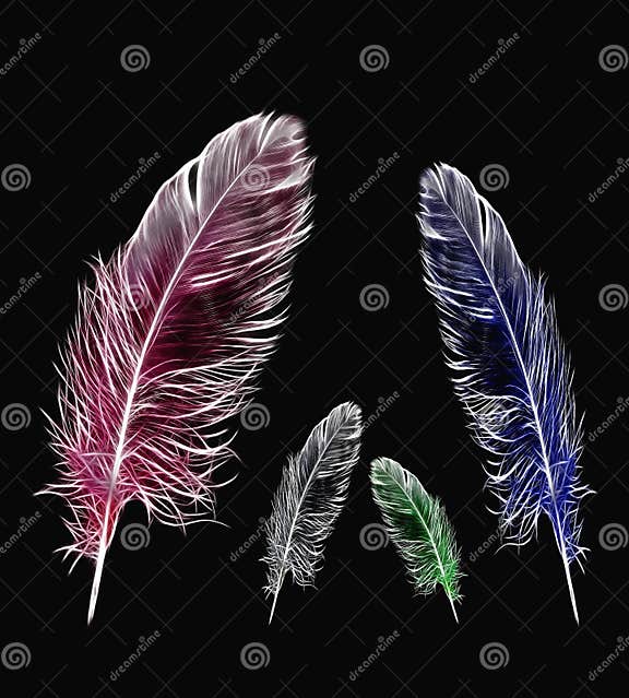 Feather/spring stock photo. Image of nostalgia, black - 17210796