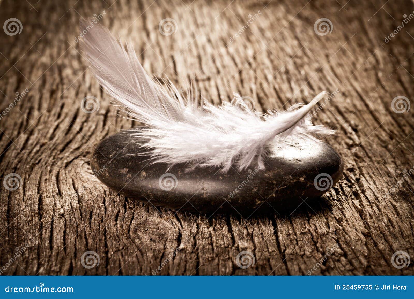Feather on the stone stock image. Image of abstract, beauty - 25459755
