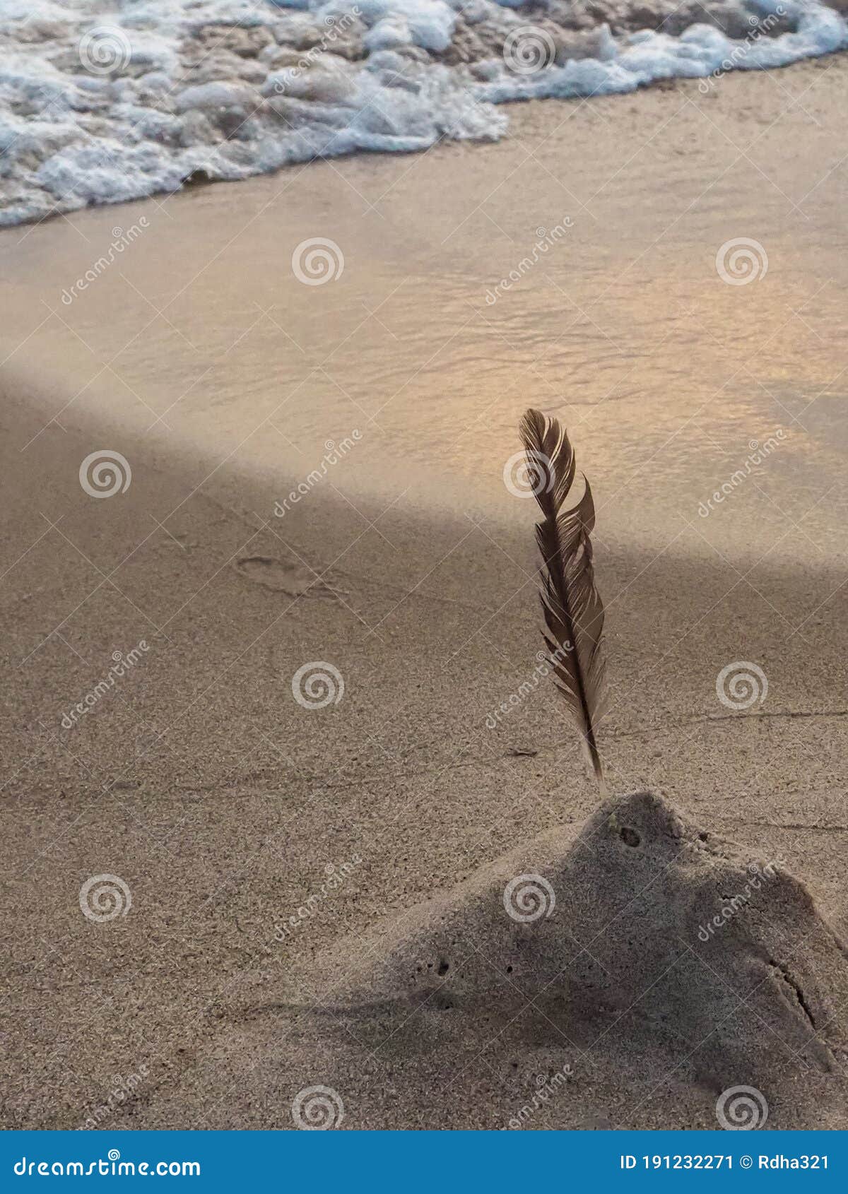 A Feather Stuck in the Beach Stock Image - Image of coastal, grey ...