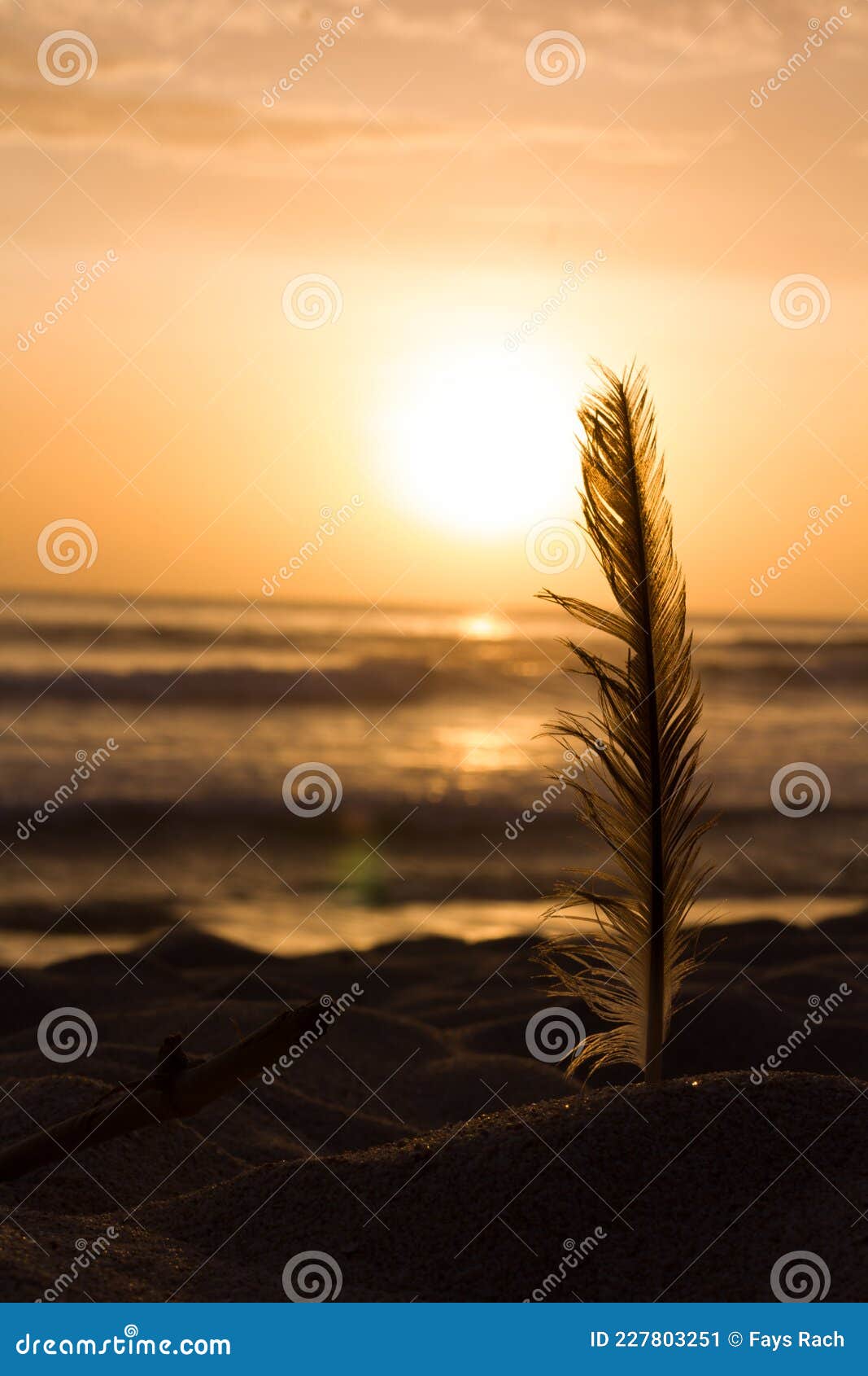 Feather and Sunset in Beach Stock Image - Image of cloud, sunlight ...