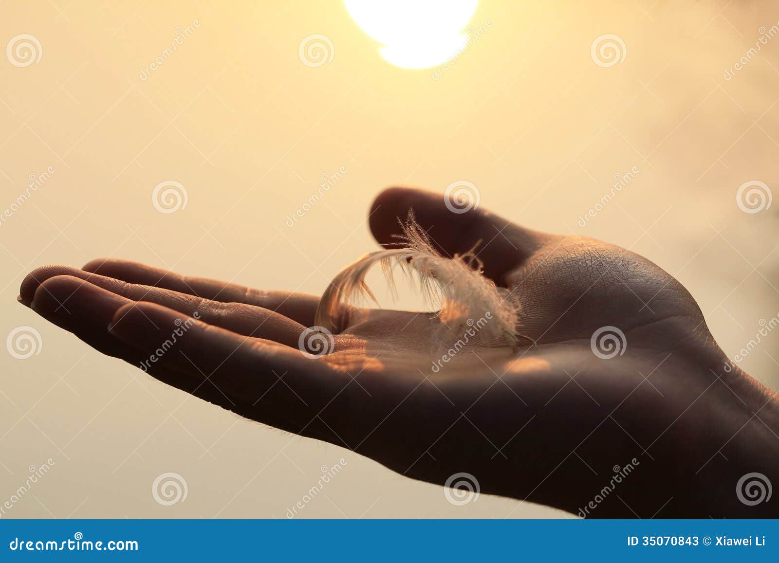 Feather of Swan on Hand when Sunsets Stock Image - Image of light, hope ...