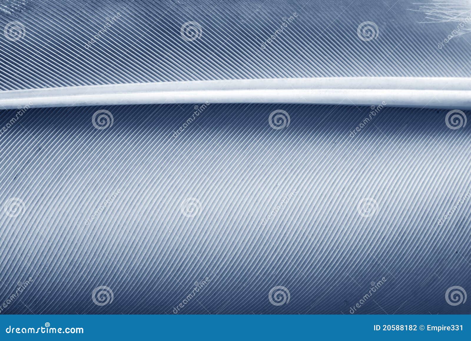 Feather texture stock photo. Image of texture, pattern - 20588182
