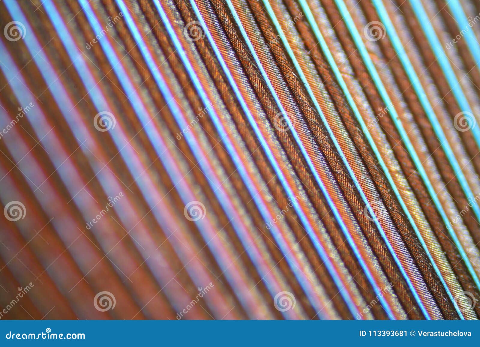 Feather Texture Under Microscope Stock Image - Image of feather ...