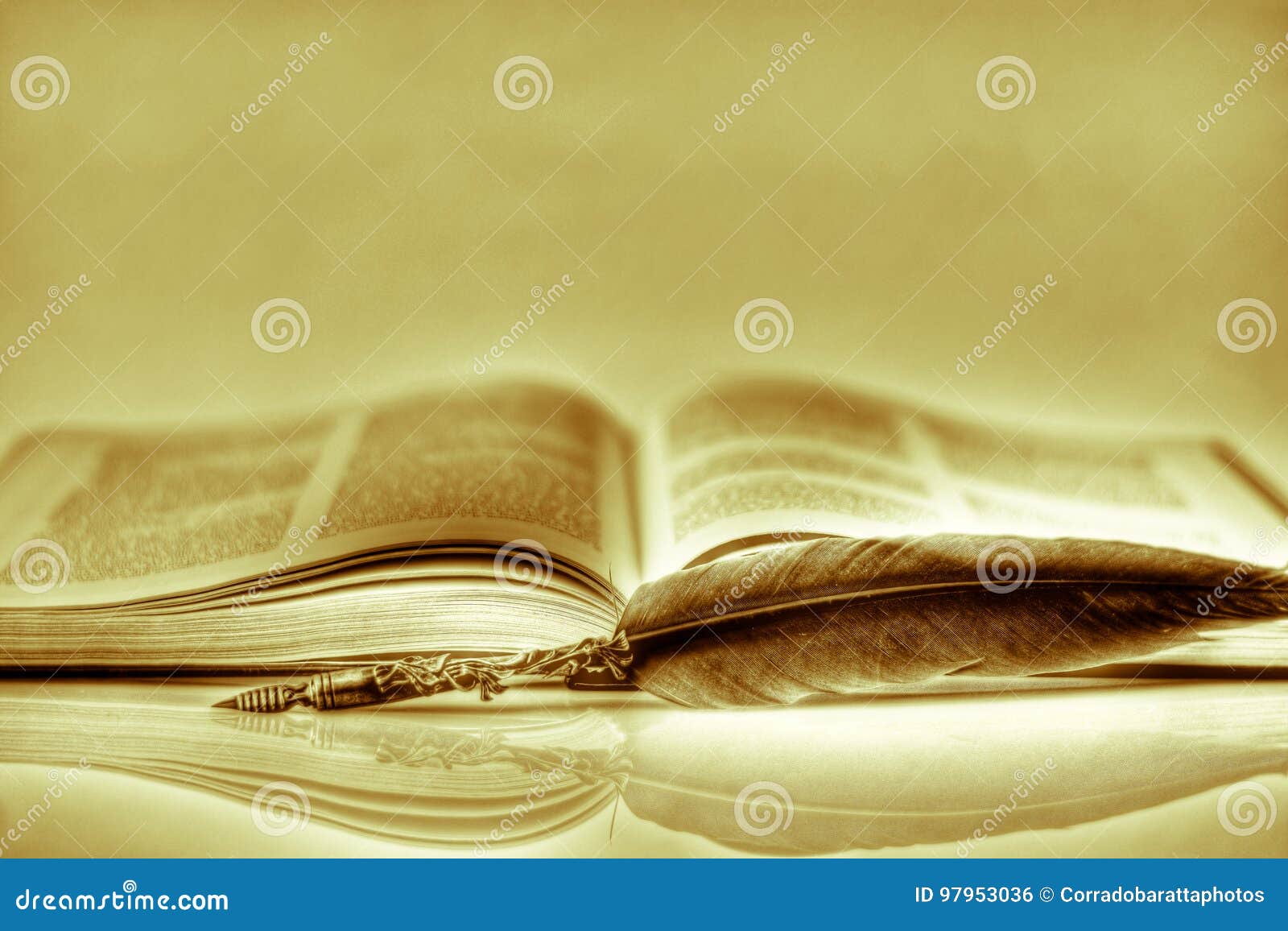 A Feather To Write Verses of Poems Stock Photo - Image of feathered ...