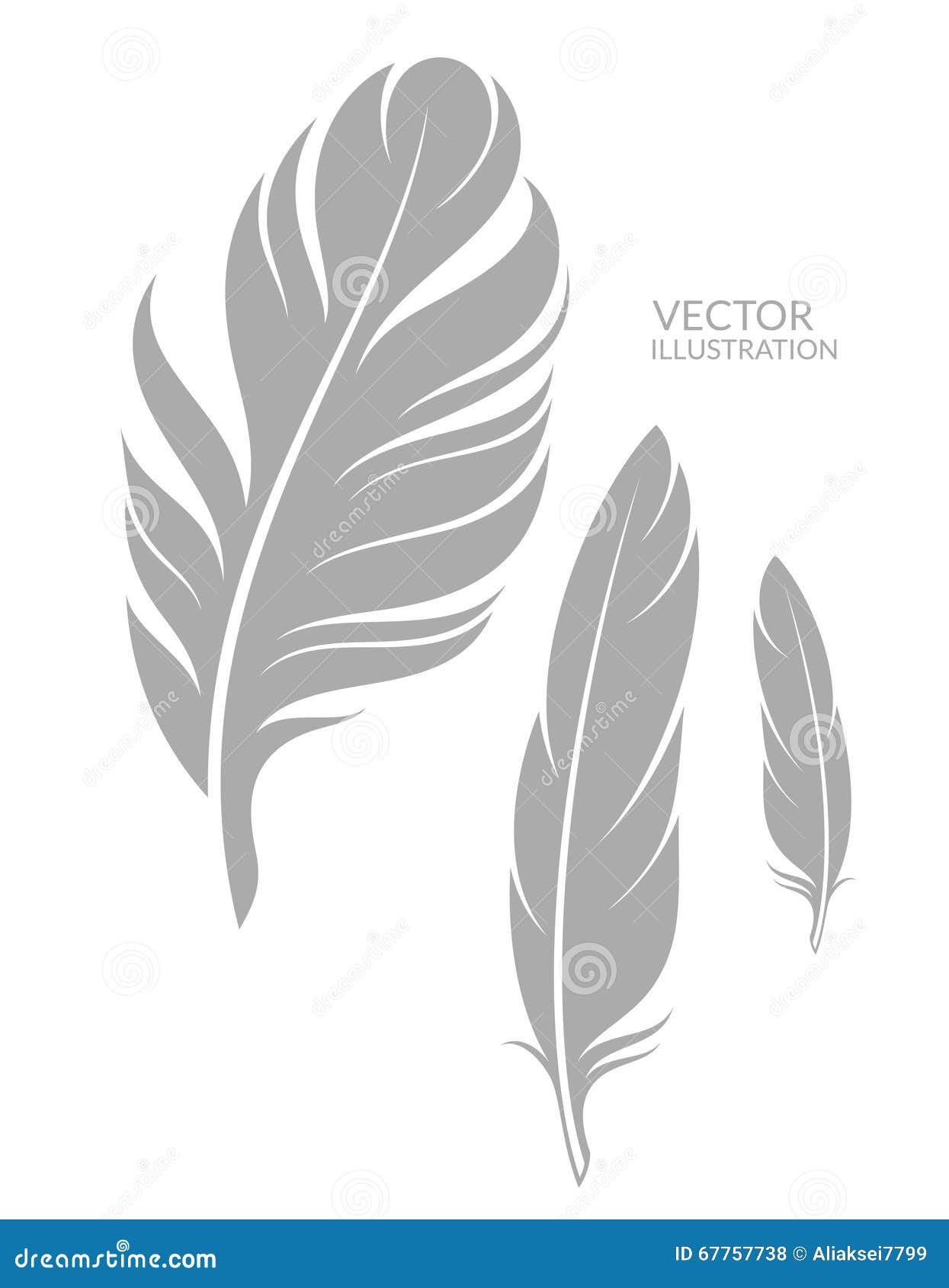 Feather stock vector. Illustration of goose, chicken - 67757738