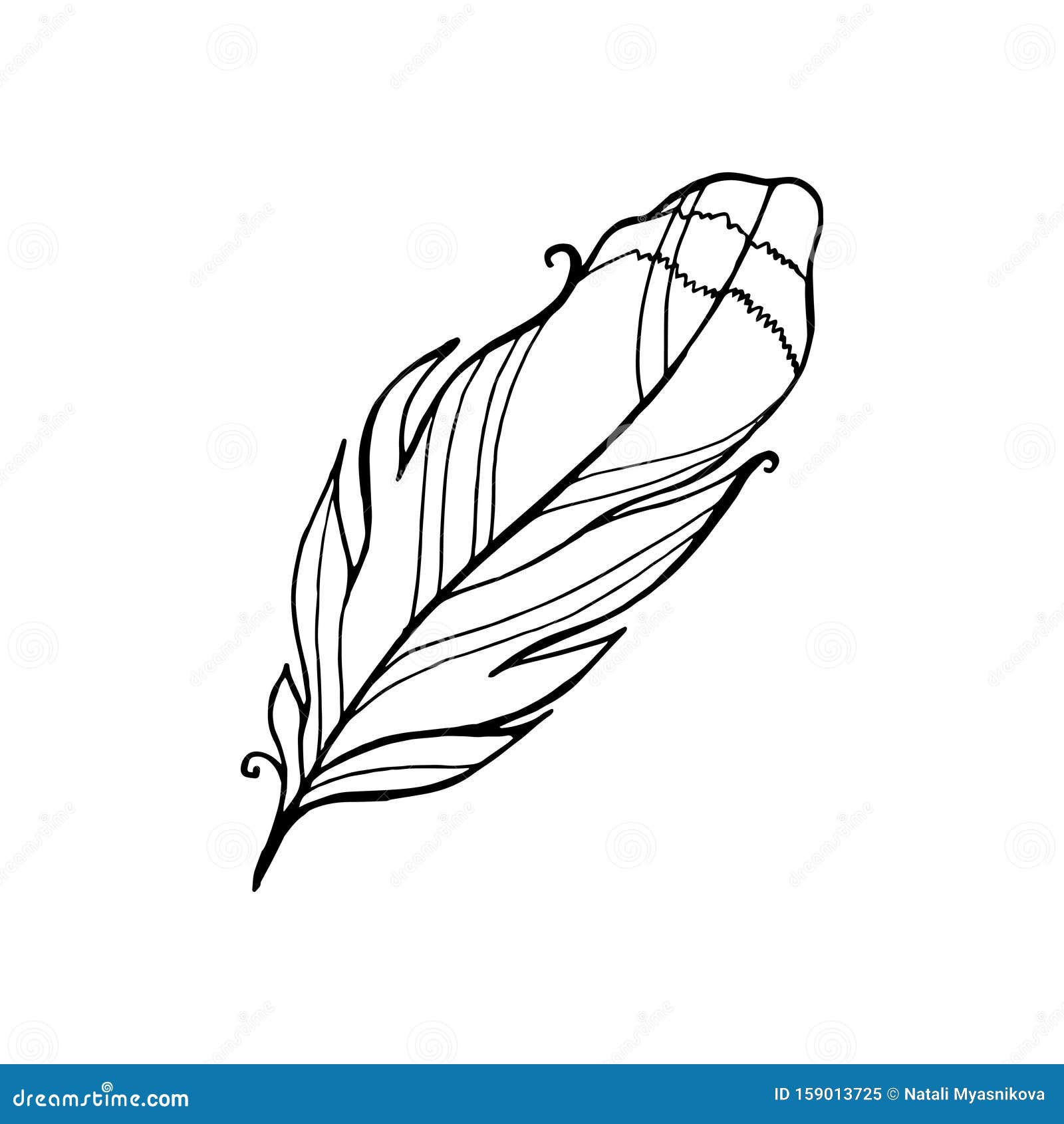 Feather, Write Line Icon, Outline Vector Sign. Lightweight Symbol, Logo ...