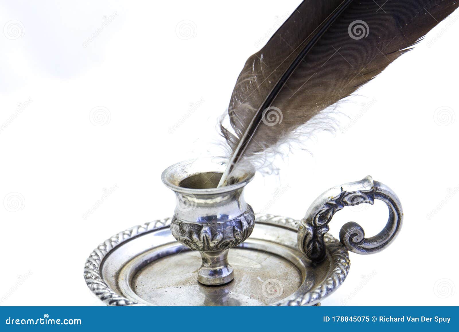 Feather Isolated in an Inkwell Stock Image - Image of feather, resource ...