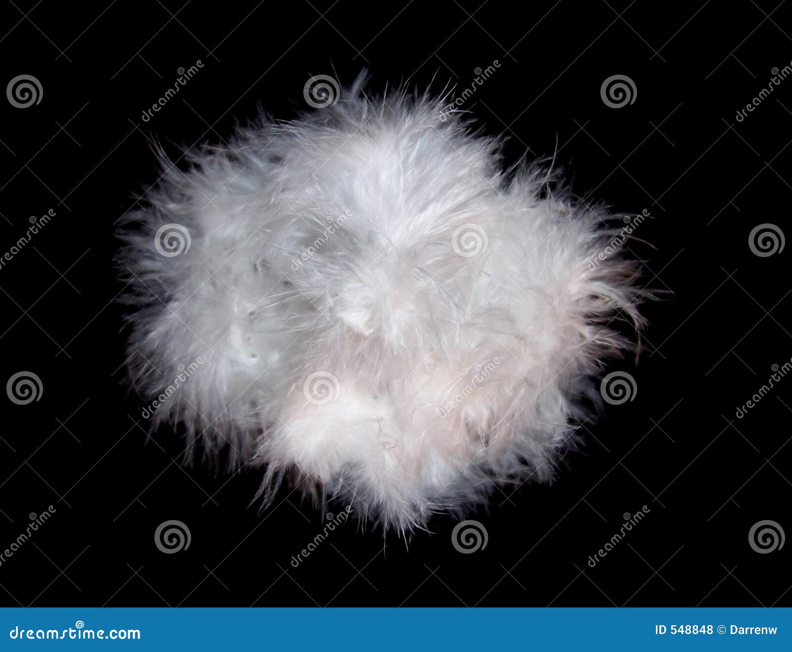 Featherball Picture. Image: 548848