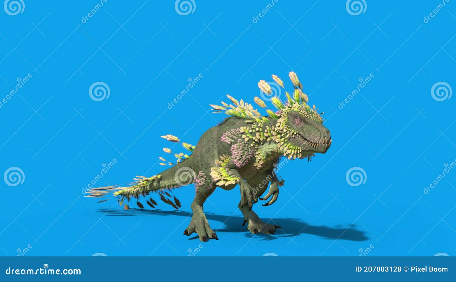 Feathered Dinosaur Trex Roar Blue Screen Front 3D Rendering Animation ...