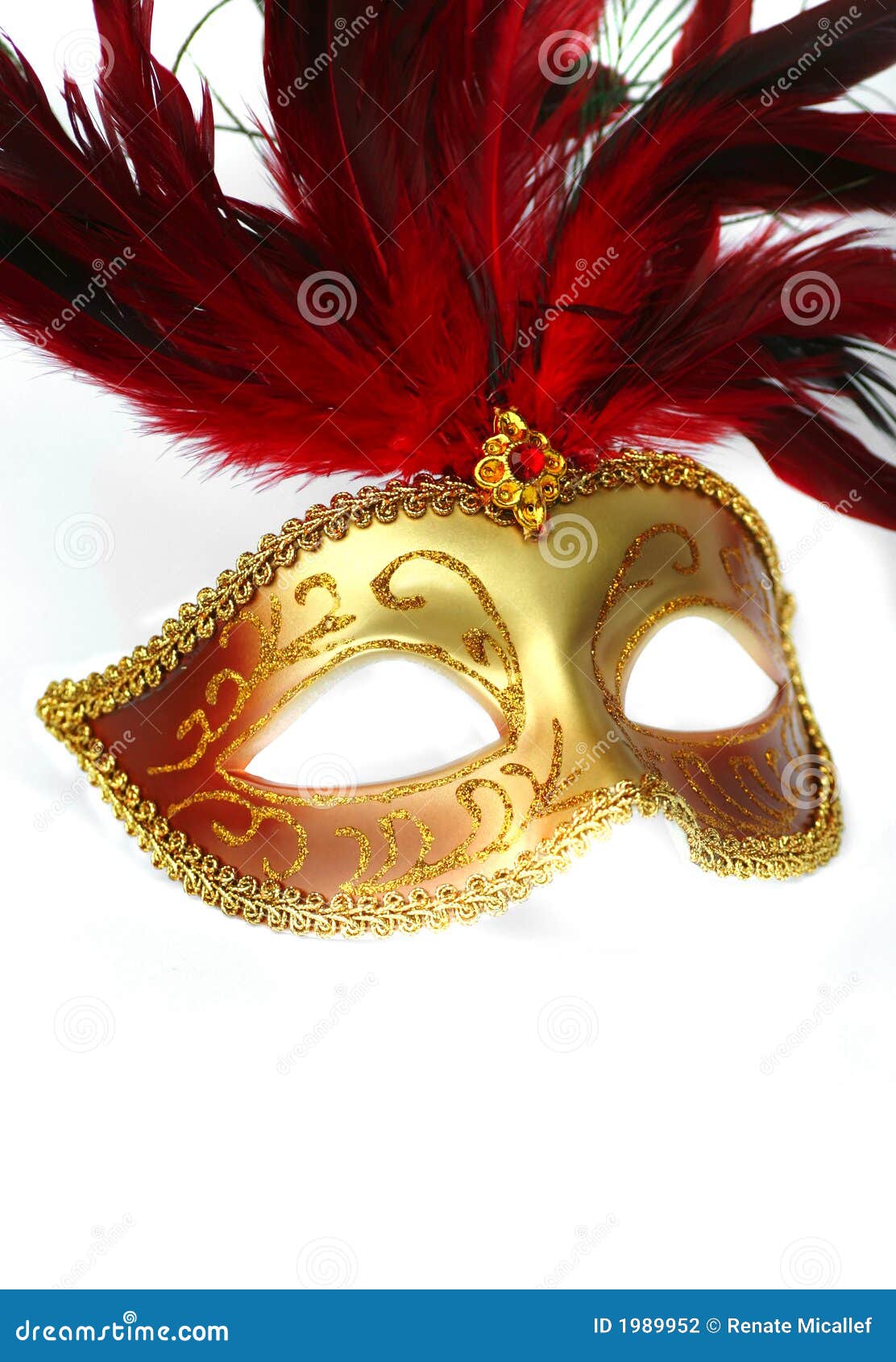 Feathered Fancy Dress Mask stock photo. Image of party - 1989952