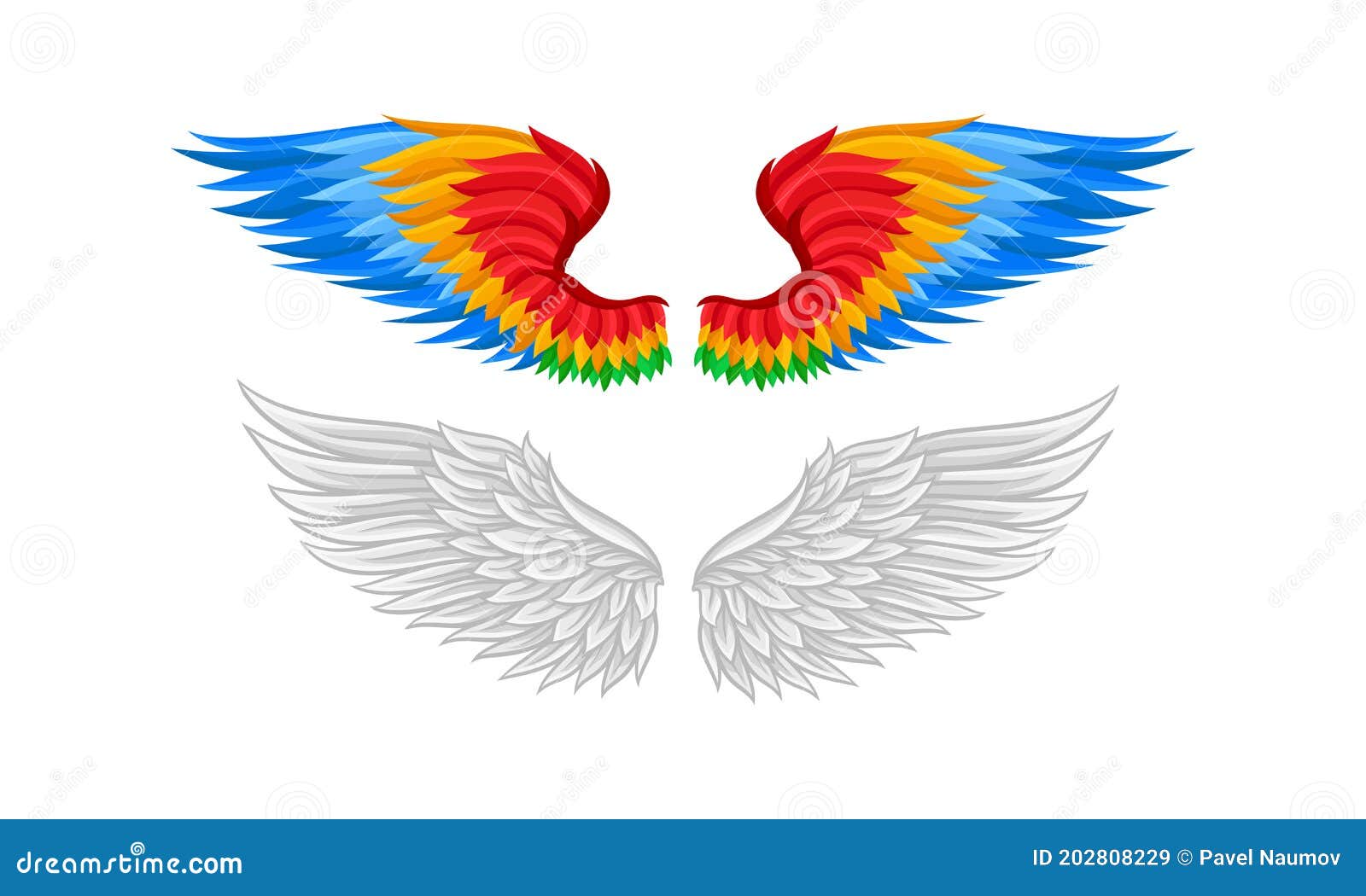 Feathered Wings Of Different Flying Creature Vector Set | CartoonDealer ...