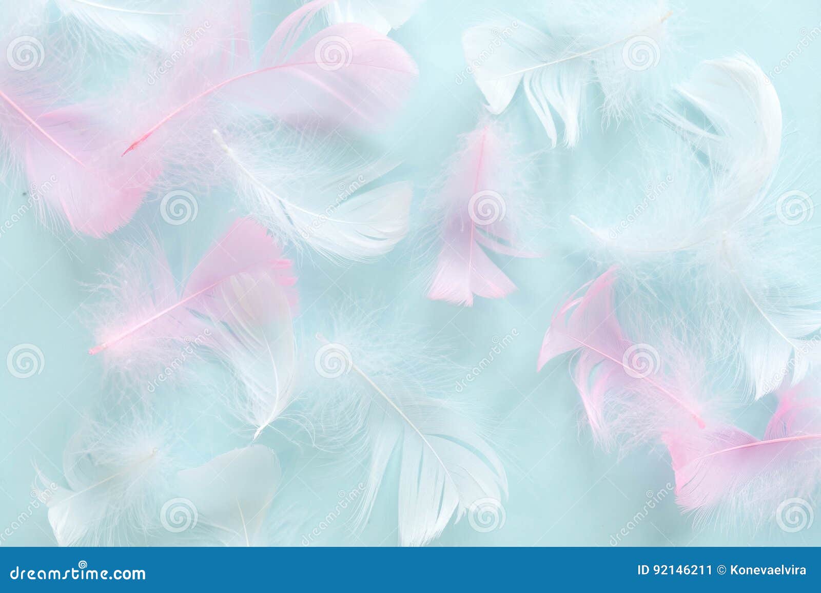 Feather Designs For Background