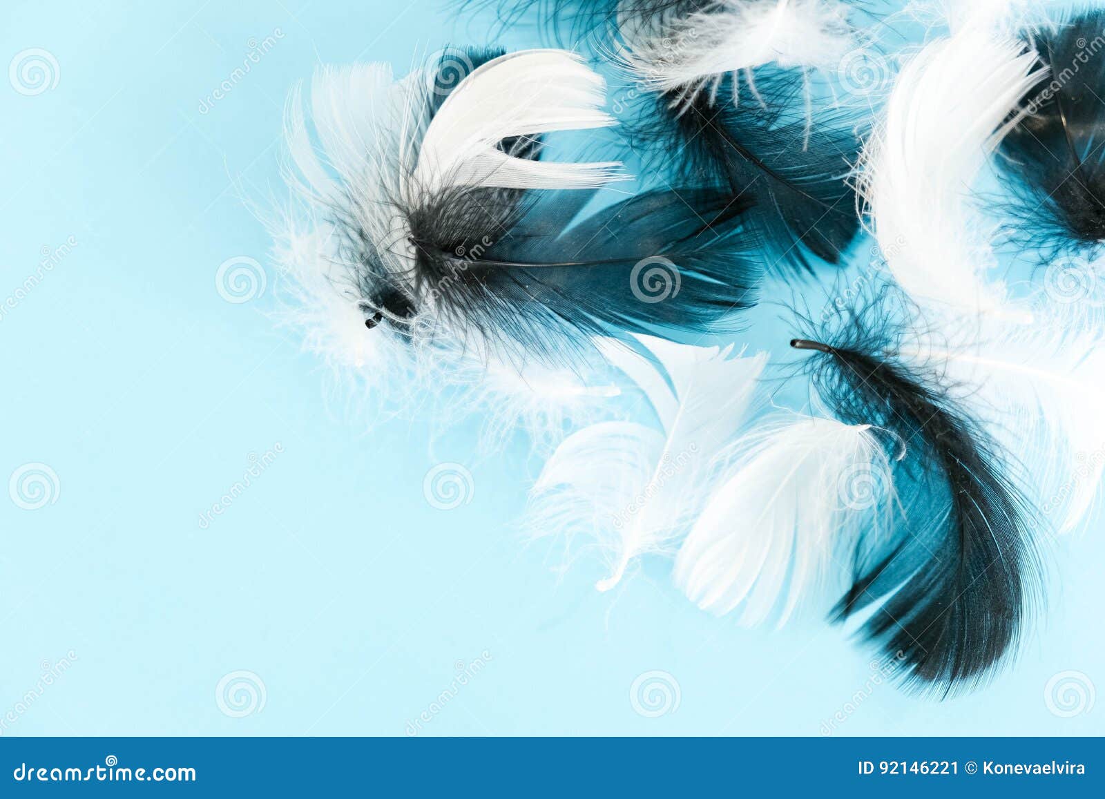 Feathers Abstract Background. Background for Design with Soft Colorfull ...