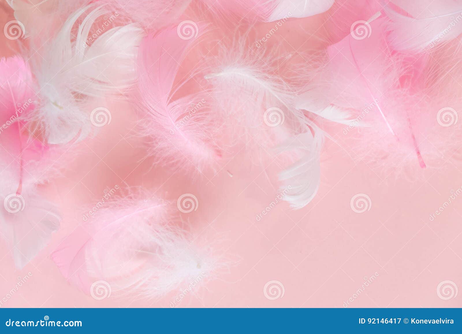 Feathers Abstract Background. Background for Design with Soft Colorfull ...