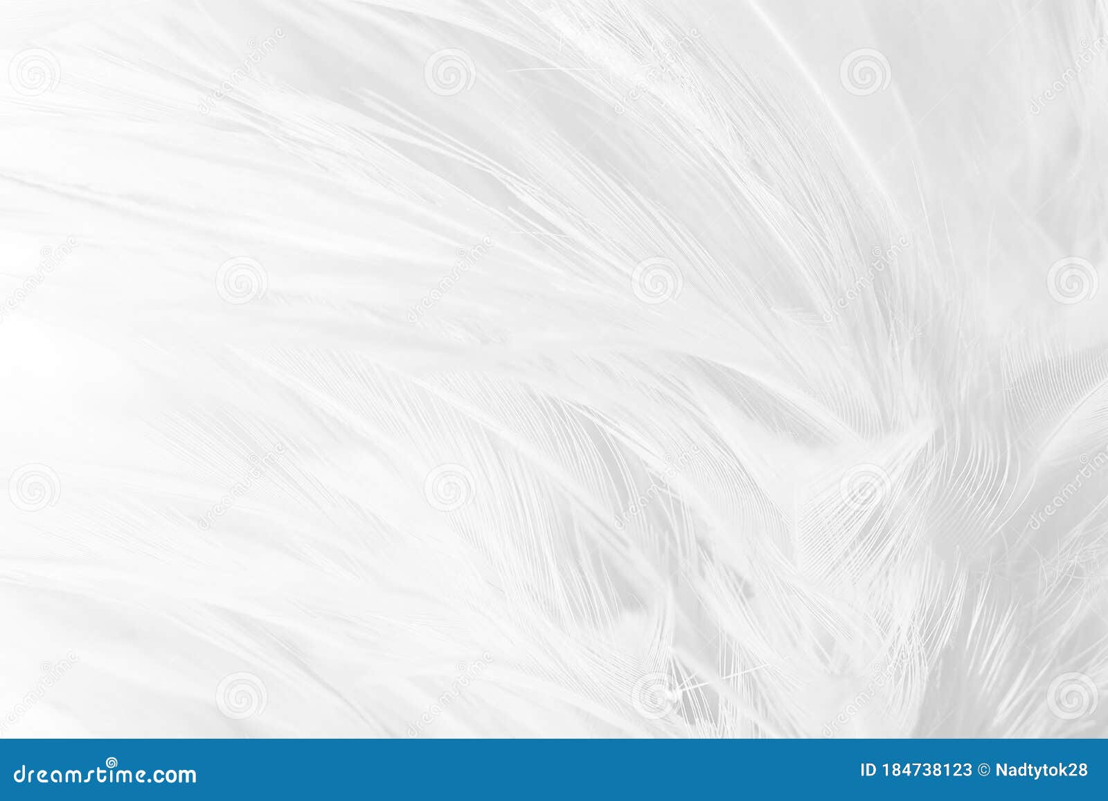 Feathers Abstract Texture Background Soft Focus Color Trends Stock ...