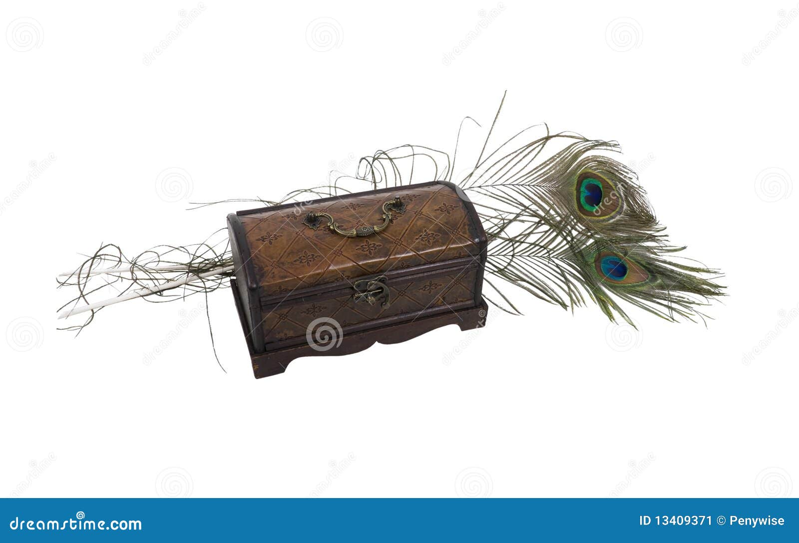 Feathers and antique box stock image. Image of cover - 13409371