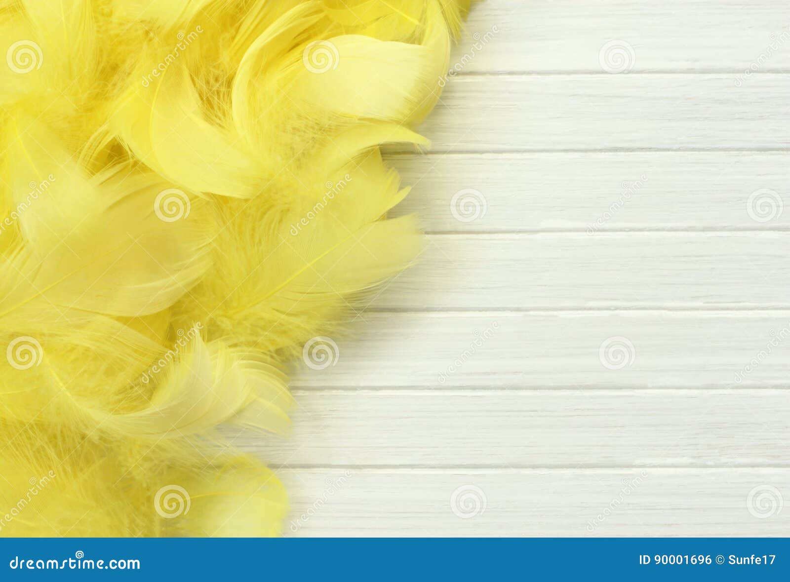 Feathers Border on White Wooden Background Stock Photo - Image of text ...