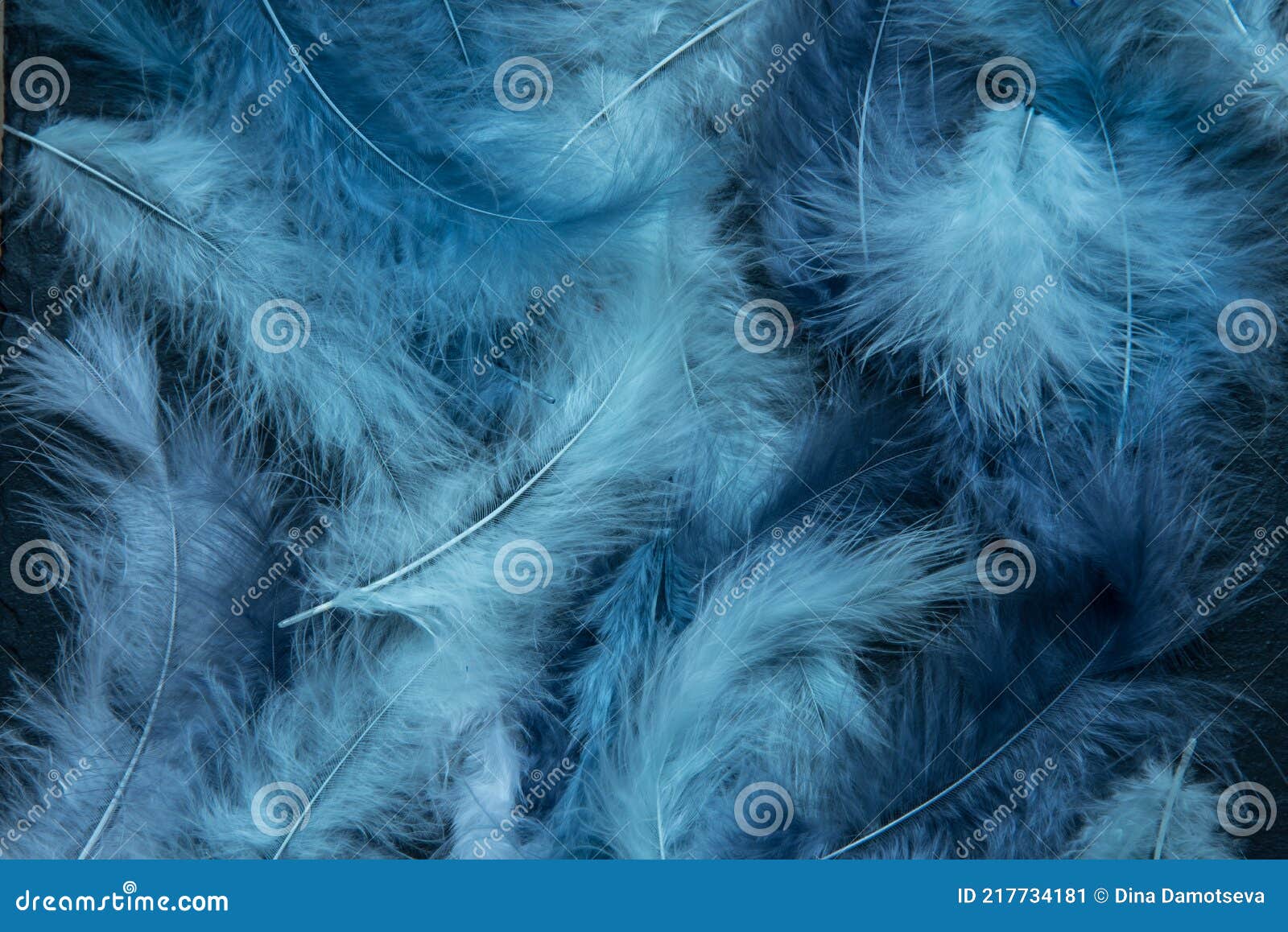 Feathers of Delicate Blue Shades. Background, Texture. Abstract and ...