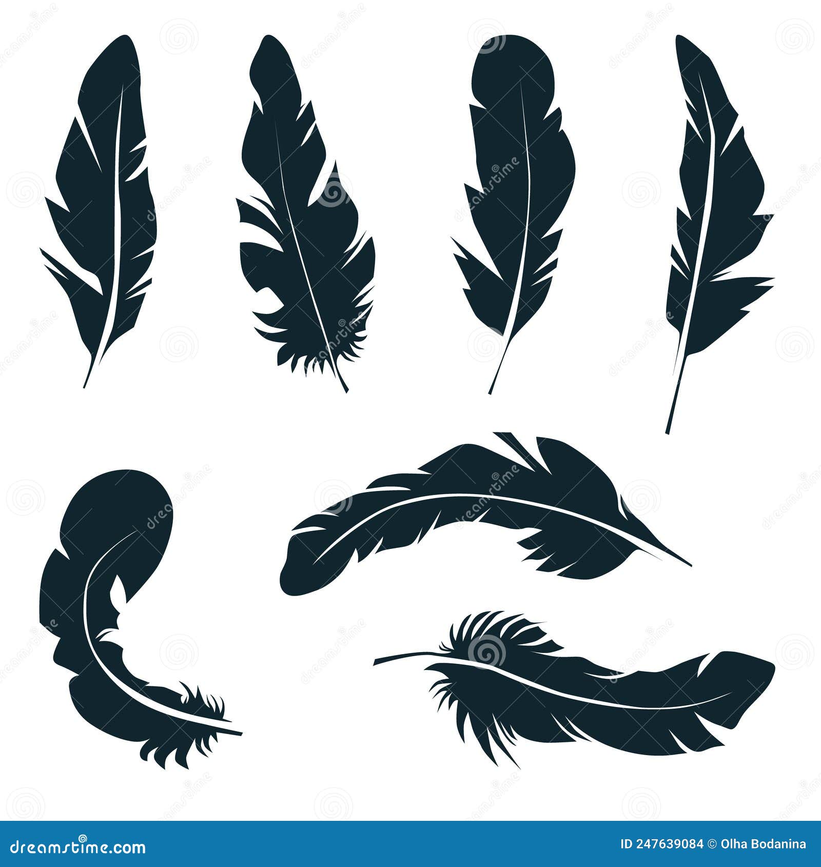 Feathers of Different Shapes in Black on a White Background, Detail for ...