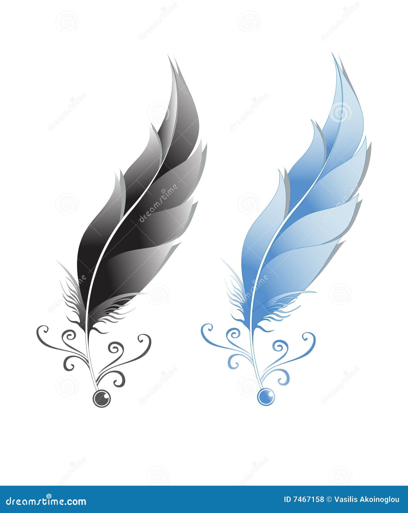 Feathers illustration stock vector. Illustration of vector - 7467158