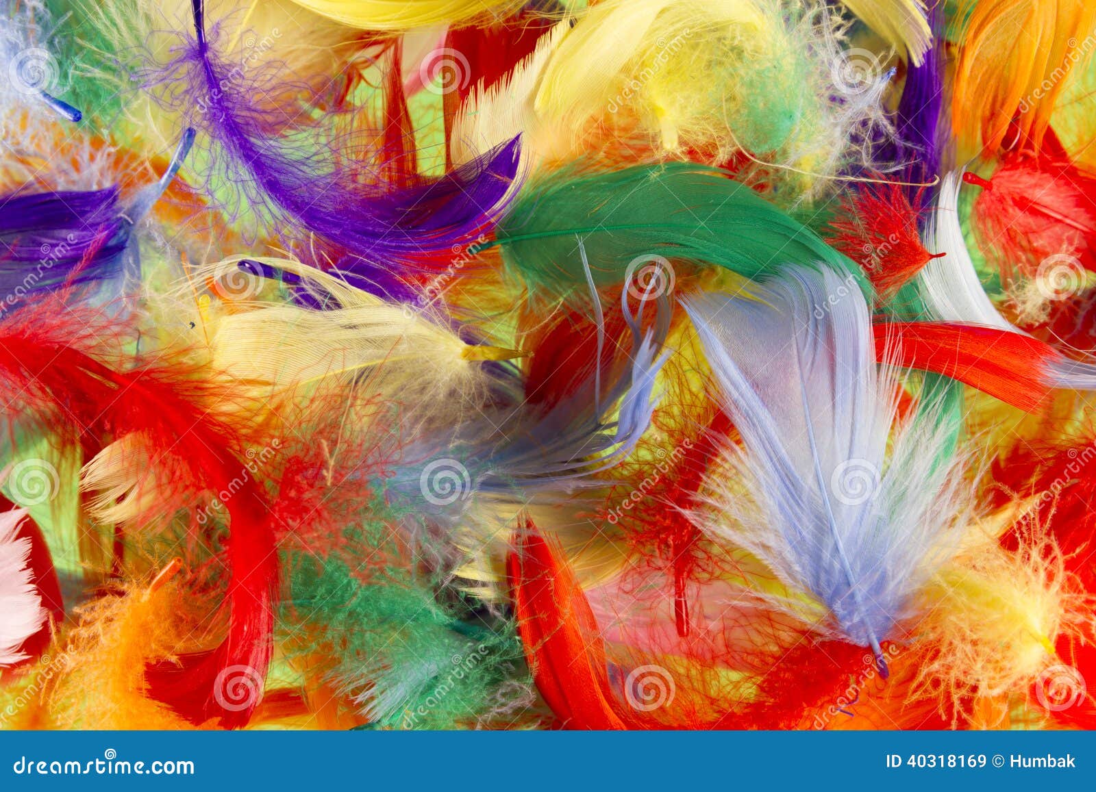 Feathers stock image. Image of full, group, color, multicolor - 40318169